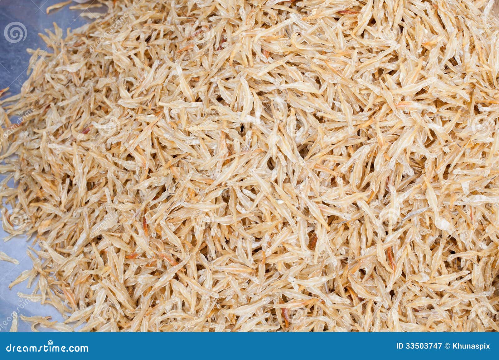 Small Dry Fish Full of Calcium Bone for Healthy of Human Skull Stock ...