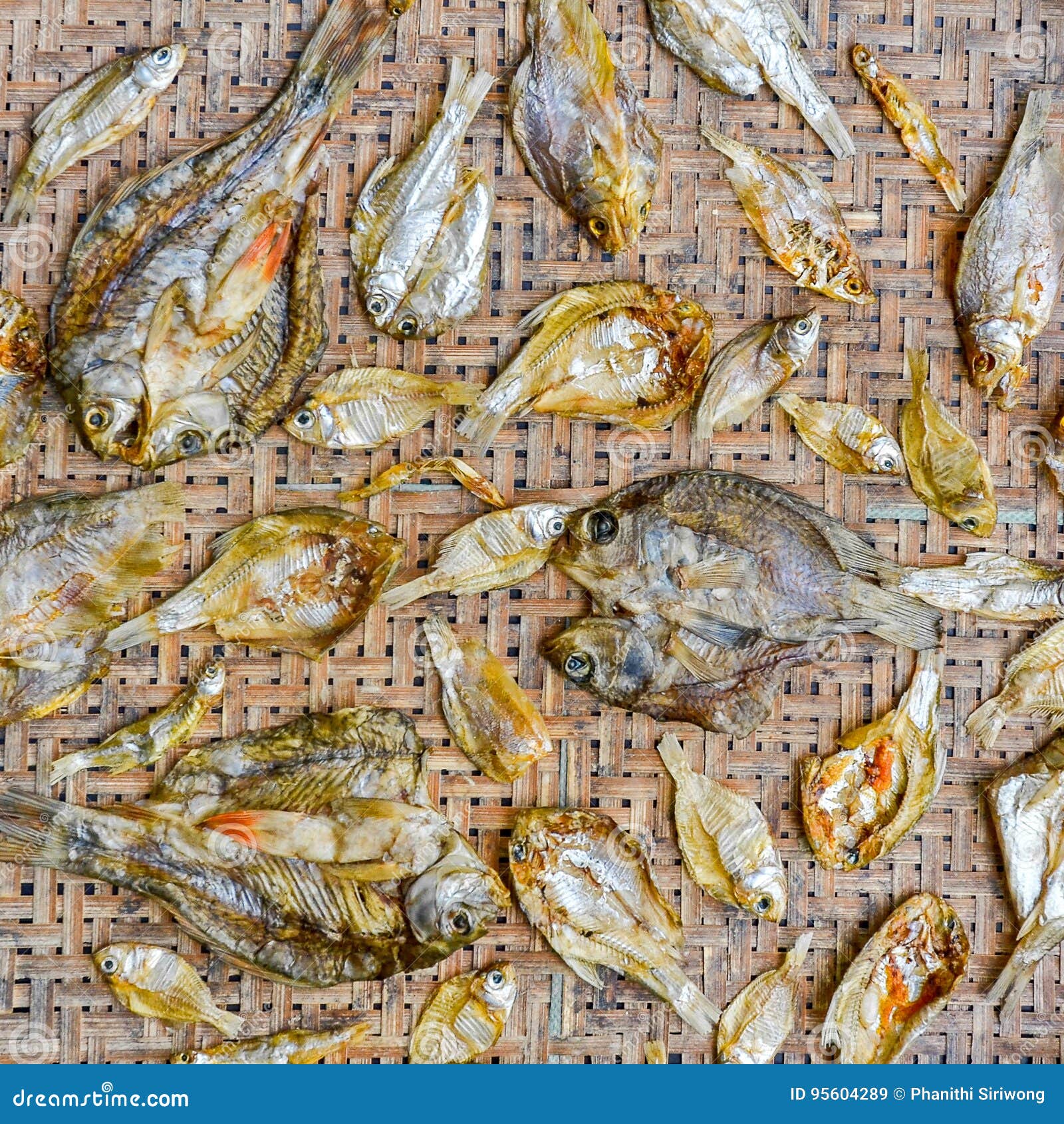 Small dry fish on the net stock image. Image of ingredient - 95604289