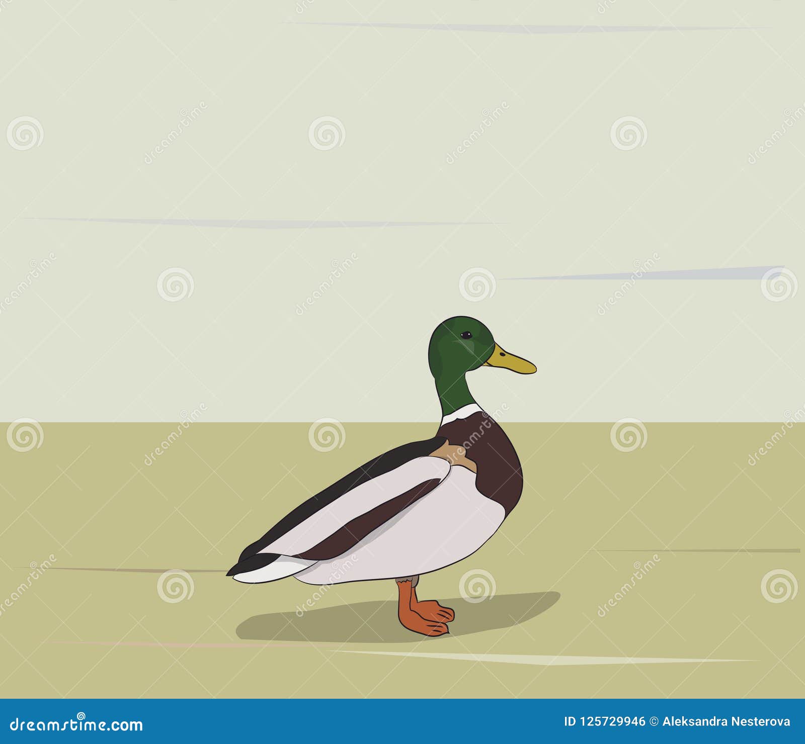 Small Duck is on Nature Vector Stock Vector - Illustration of poultry ...