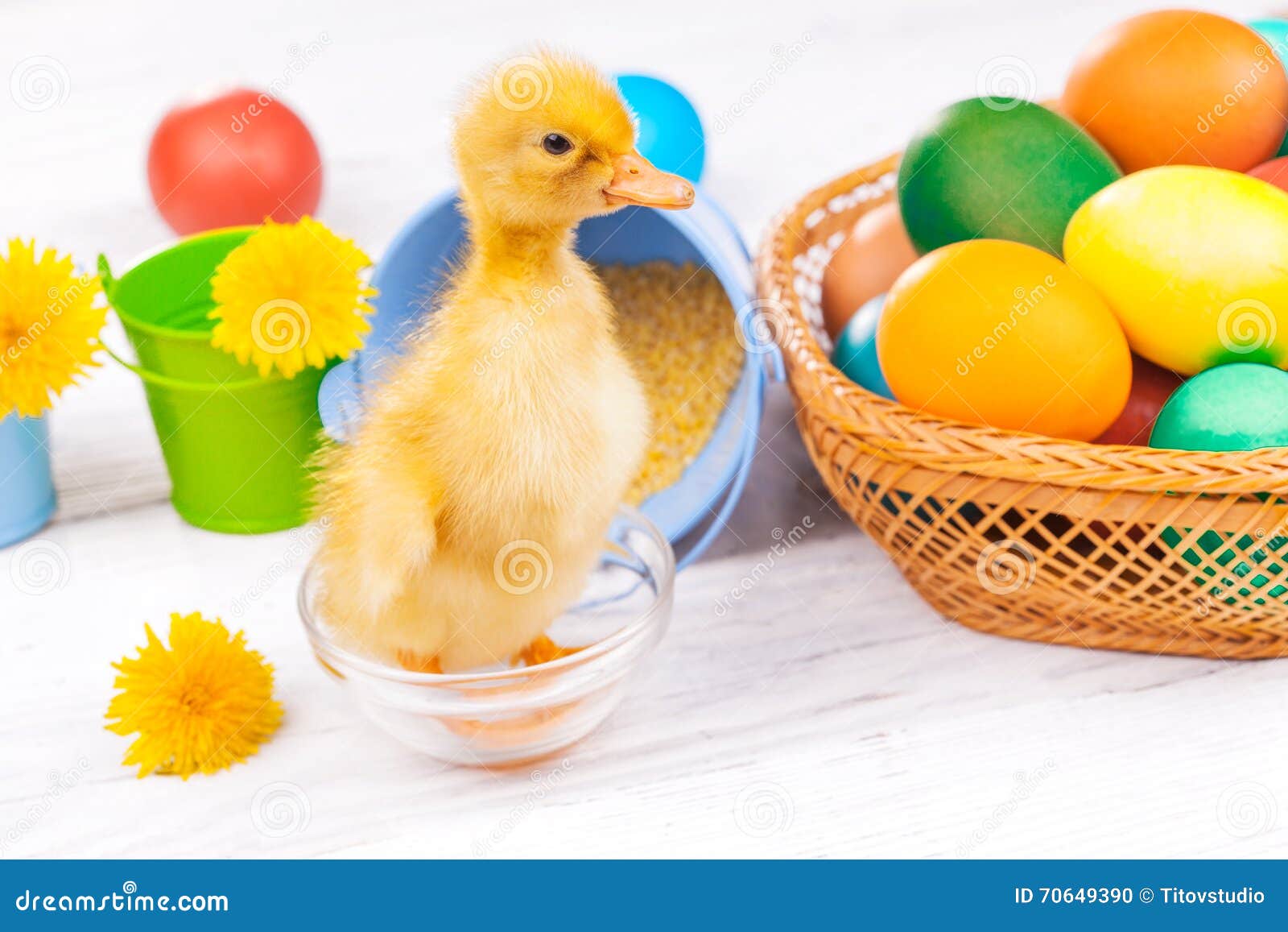 Small Duckling with Easter Eggs Stock Photo - Image of springtime, duck ...