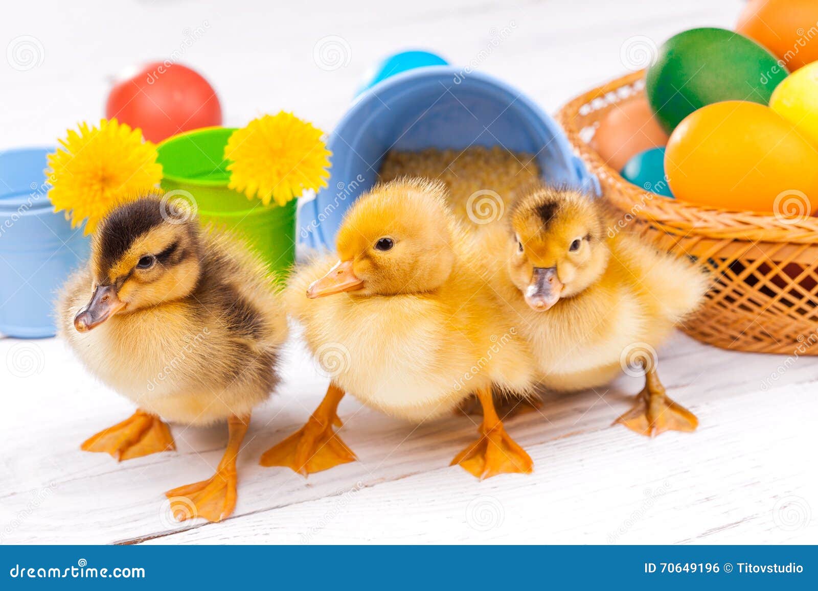 Small Ducklings with Easter Eggs Stock Photo - Image of bird, wooden ...