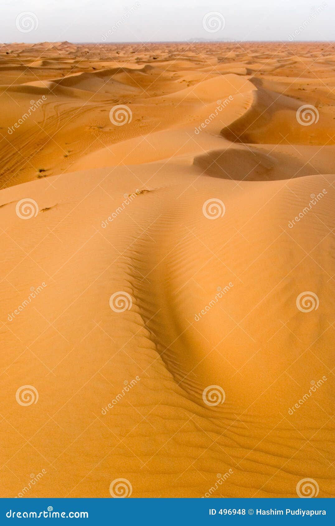 Small dunes stock photo. Image of yellow, horizon, ripples - 496948