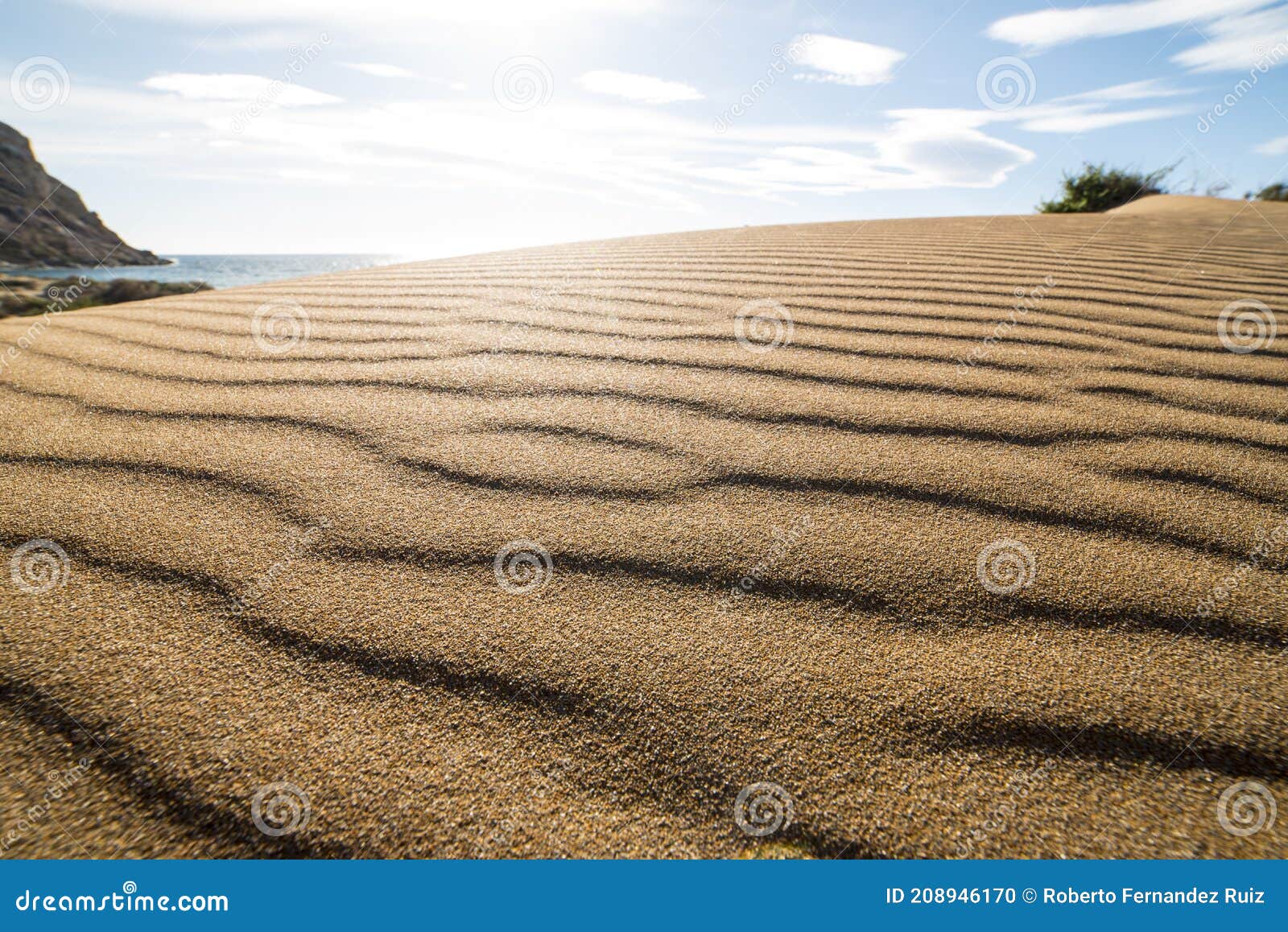 Small dunes on the beach stock photo. Image of ocean - 208946170