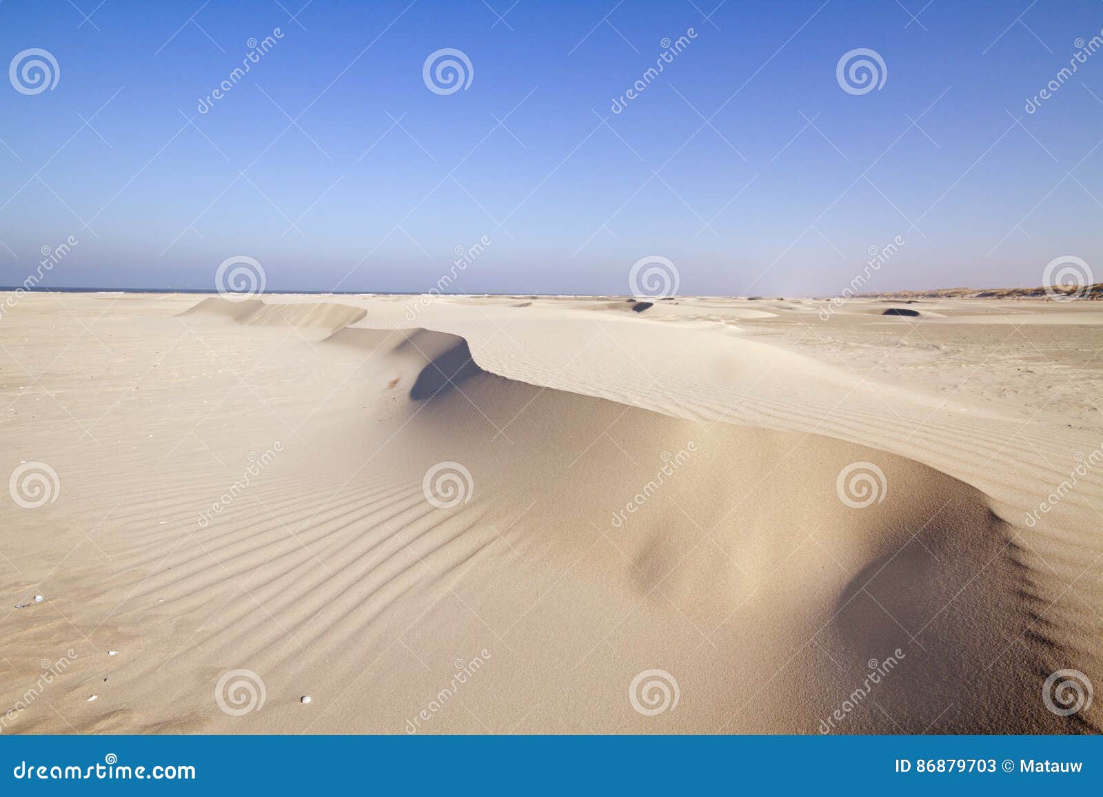 Small dunes on the beach stock image. Image of sand, erosion - 86879703