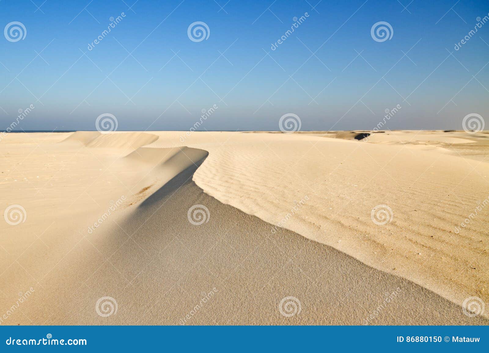 Small dunes on the beach stock photo. Image of soft, foredunes - 86880150