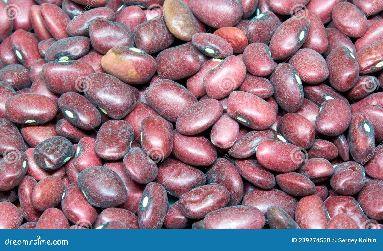 Small Dusty Red Beans at Close Range Stock Photo - Image of ingredient ...