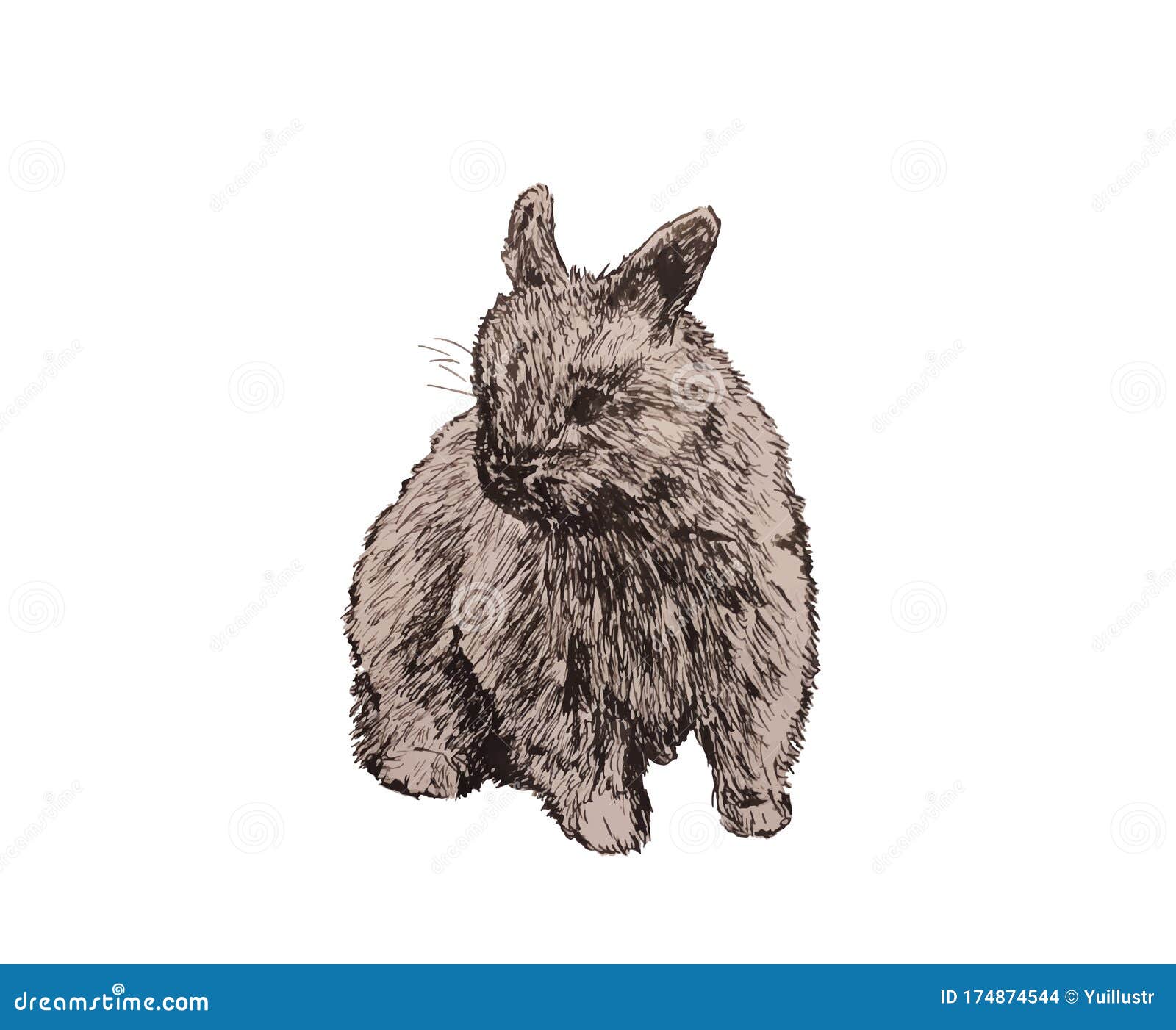 A Small Dwarf Rabbit with Grey Fur Stock Vector - Illustration of grey ...