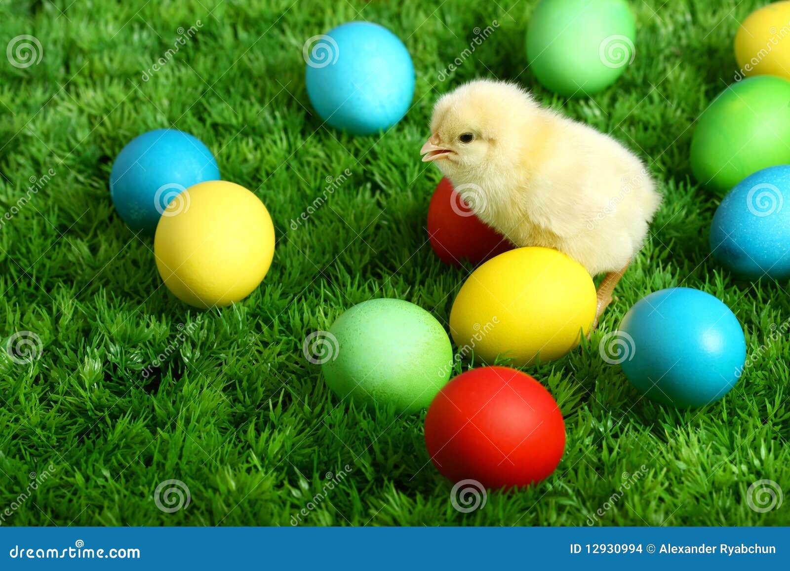Small easter chick stock photo. Image of feather, softness - 12930994