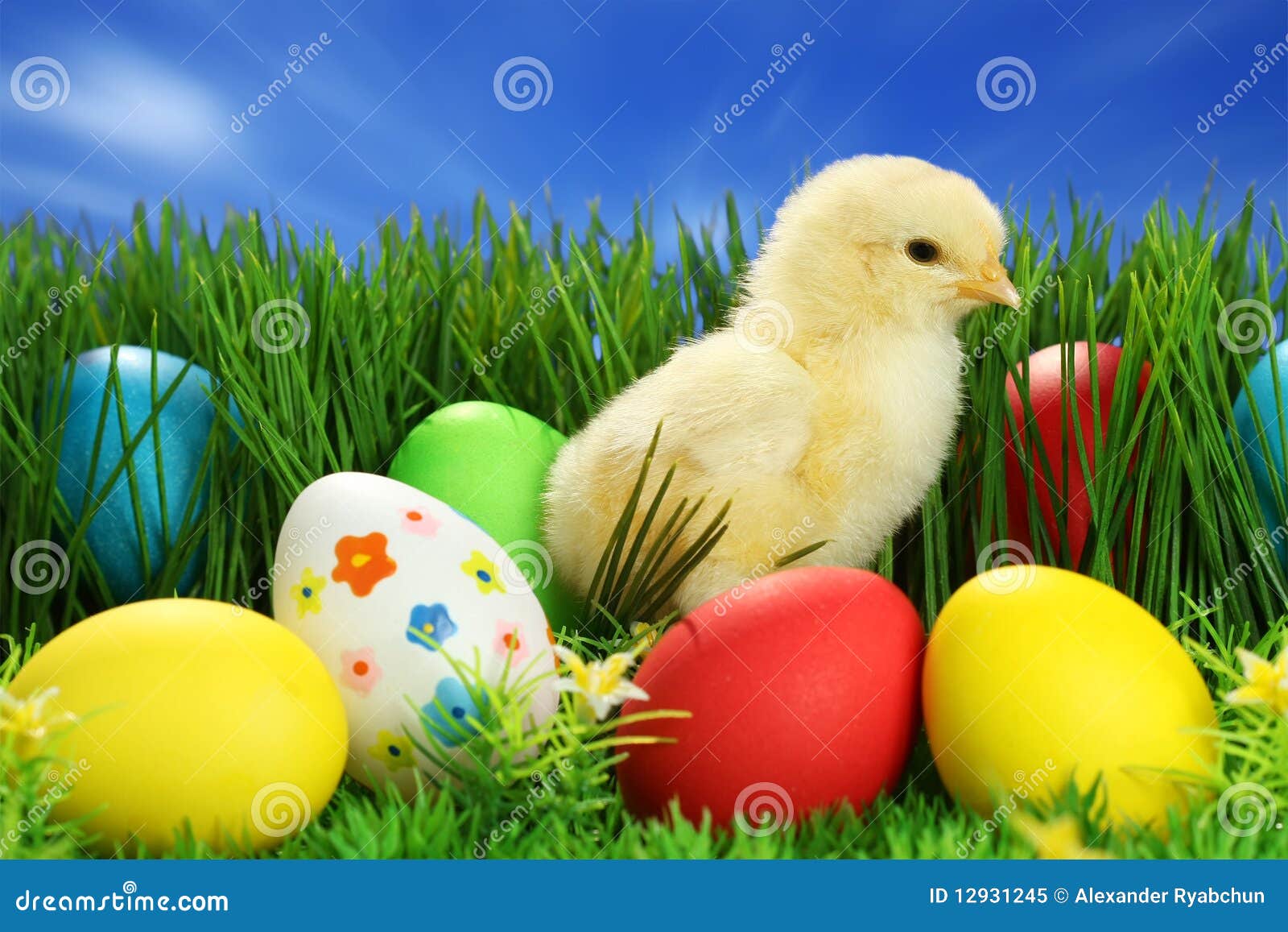 Small easter chick stock image. Image of background, green - 12931245
