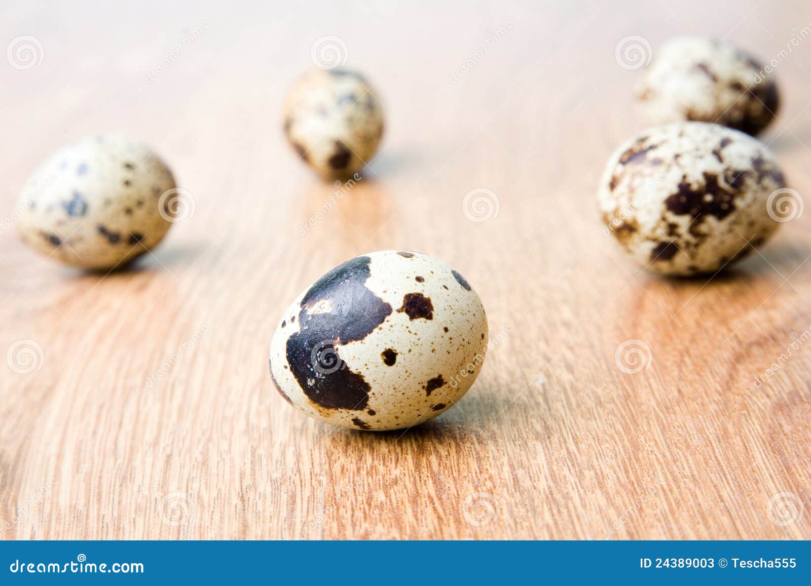 Small eggs stock image. Image of food, spotted, ingredient - 24389003