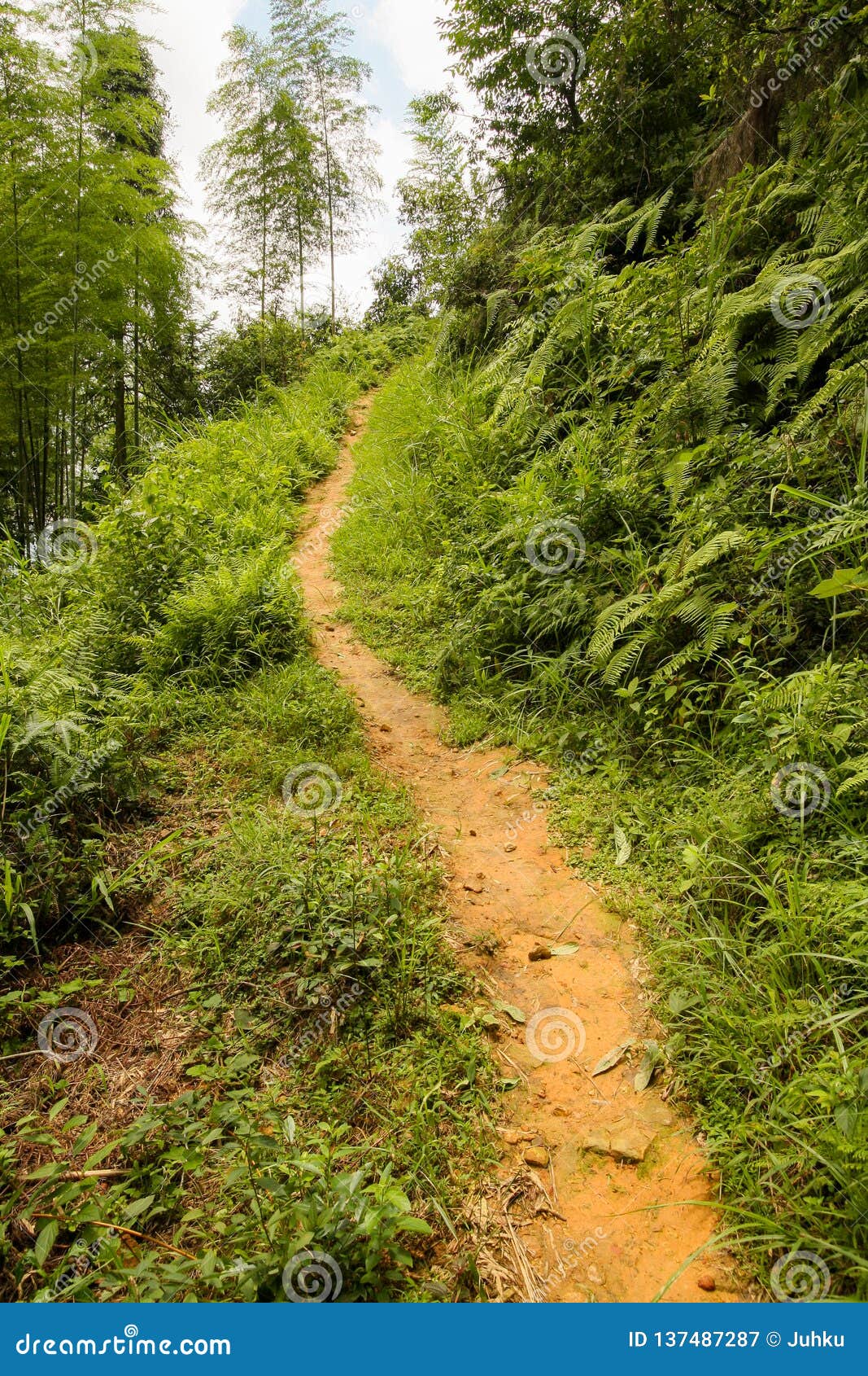 Small Path in Chinese Mountains Stock Image - Image of plants, trees ...