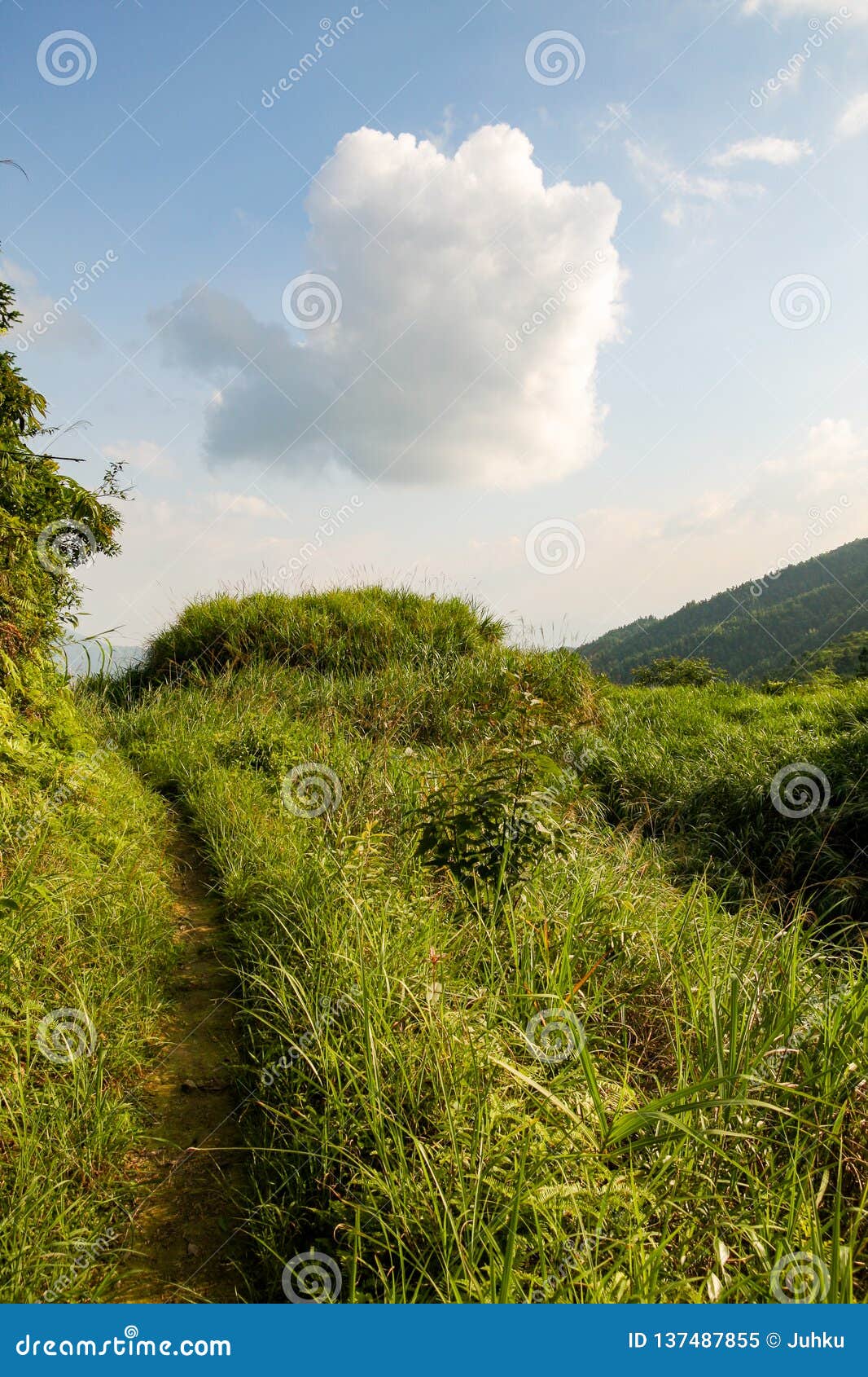 Small Path in Chinese Mountains Stock Image - Image of landscape, grass ...