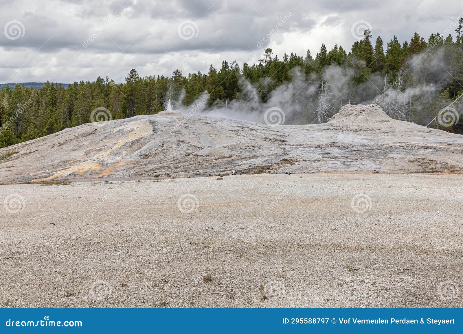 A Small Eruption of the Heart Spring Stock Image - Image of eruption ...
