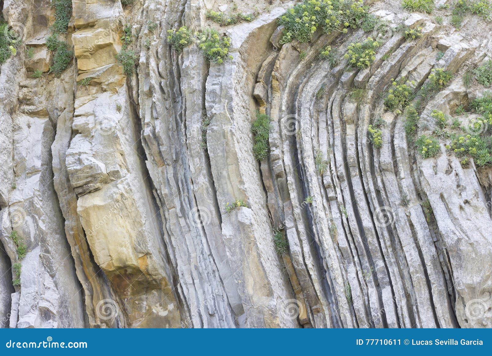 Small example of flysch stock image. Image of phenomenon - 77710611