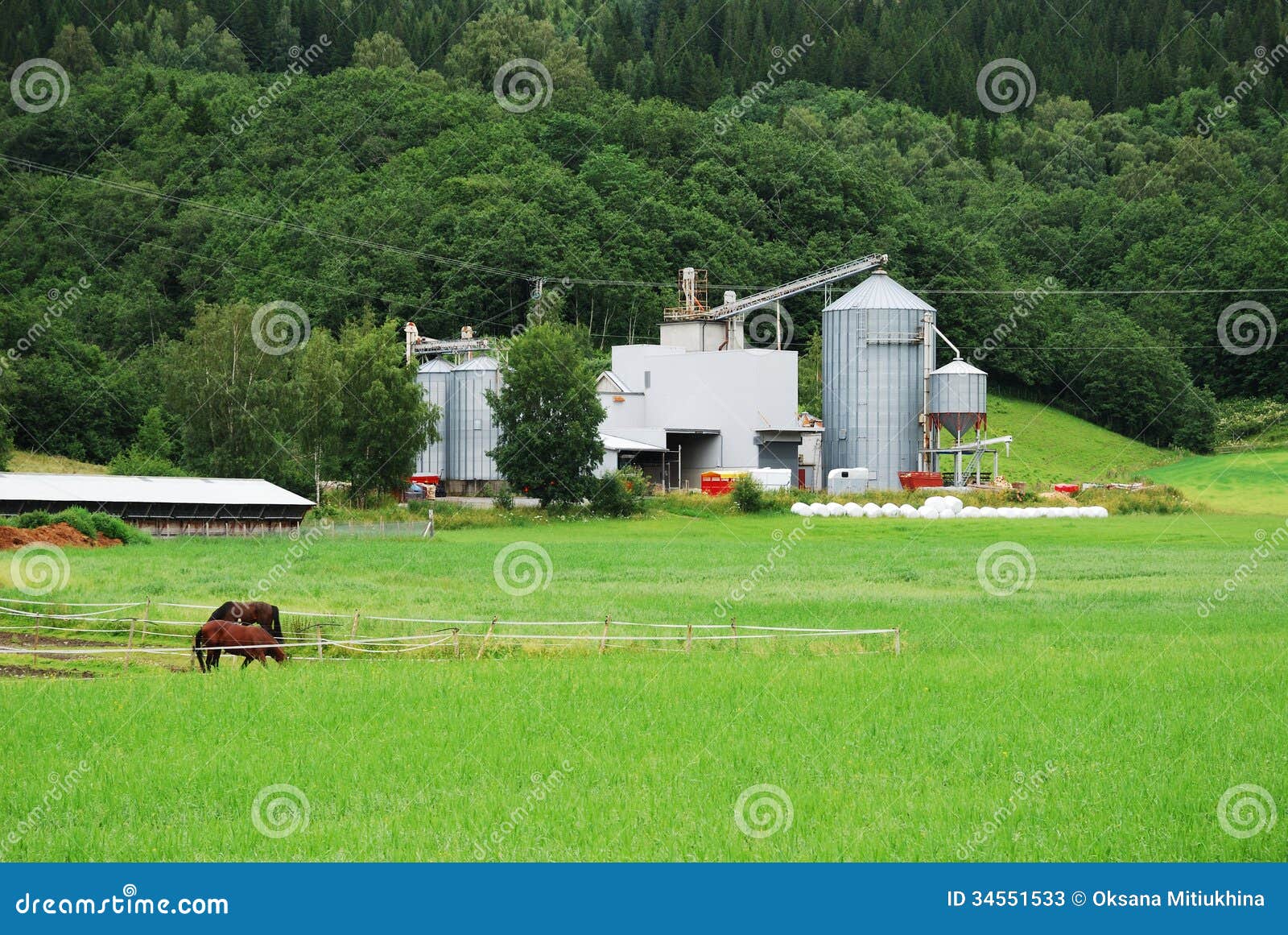 Small Factory between Green Field and Dense Forest Stock Image - Image ...