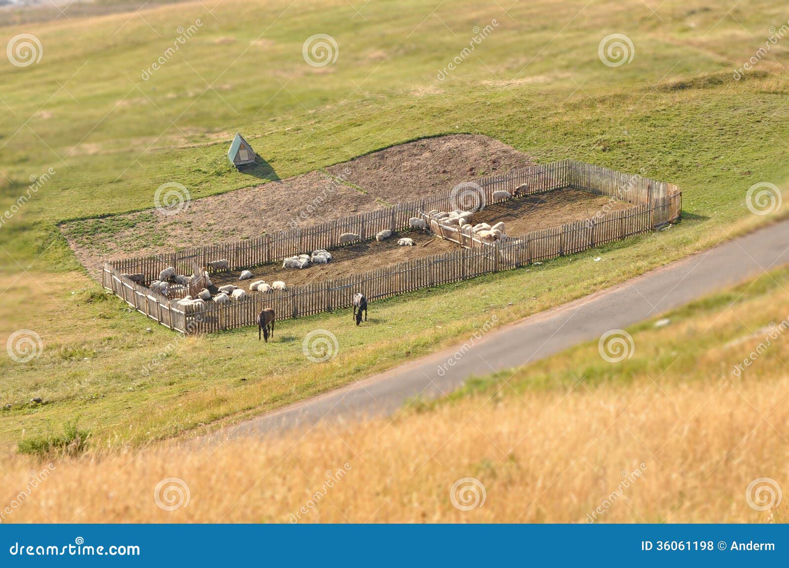 Small farm stock photo. Image of agriculture, outdoor - 36061198