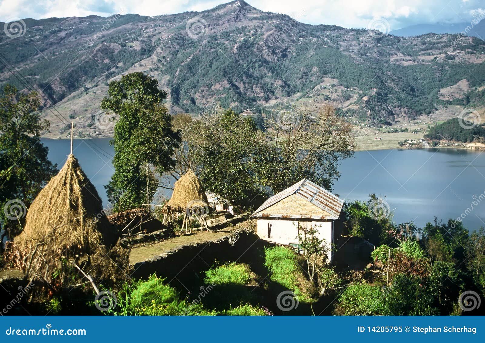 Small Farm, Nepal stock image. Image of distance, himalaya - 14205795