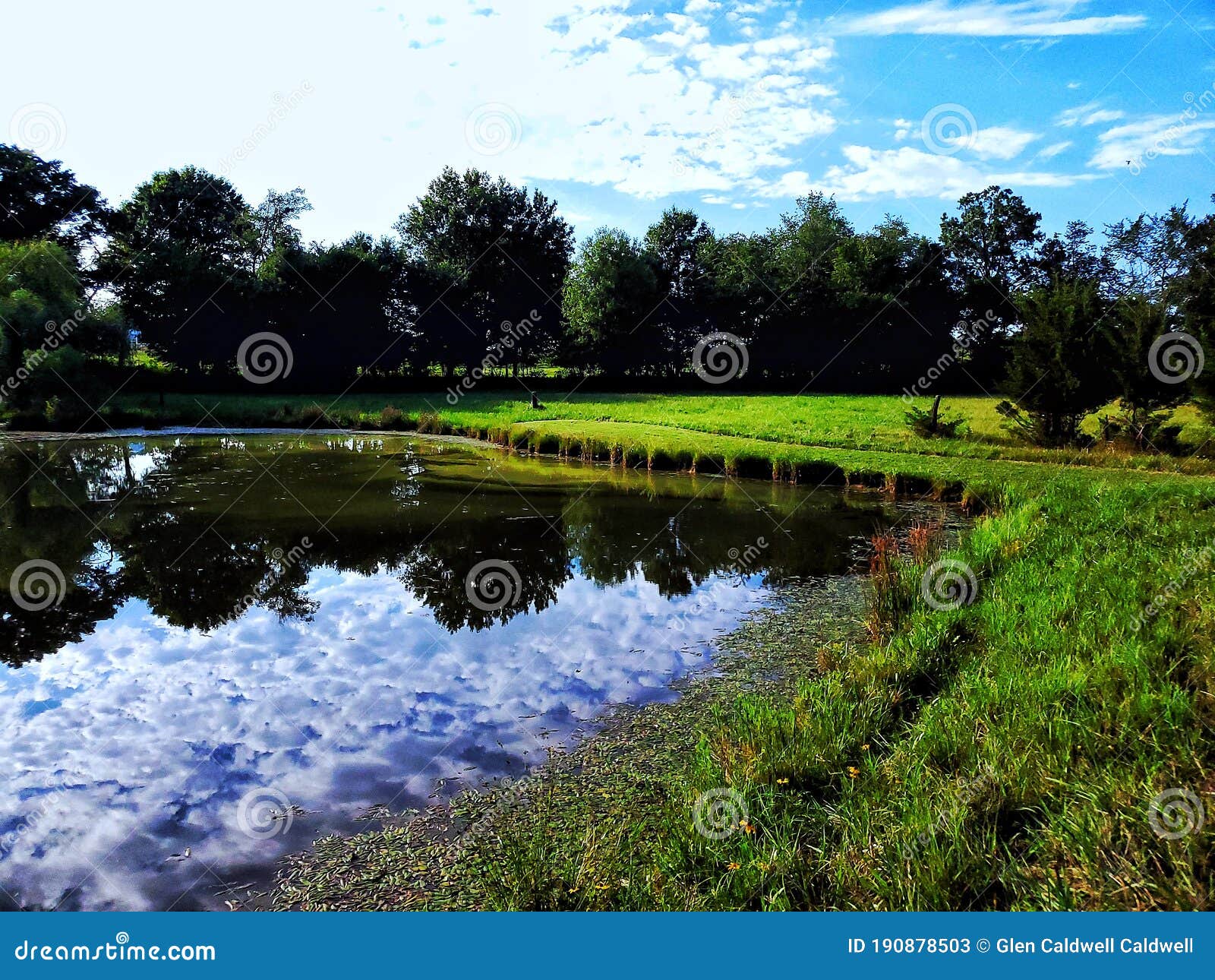 Small farm pond stock image. Image of pond, sunlight - 190878503