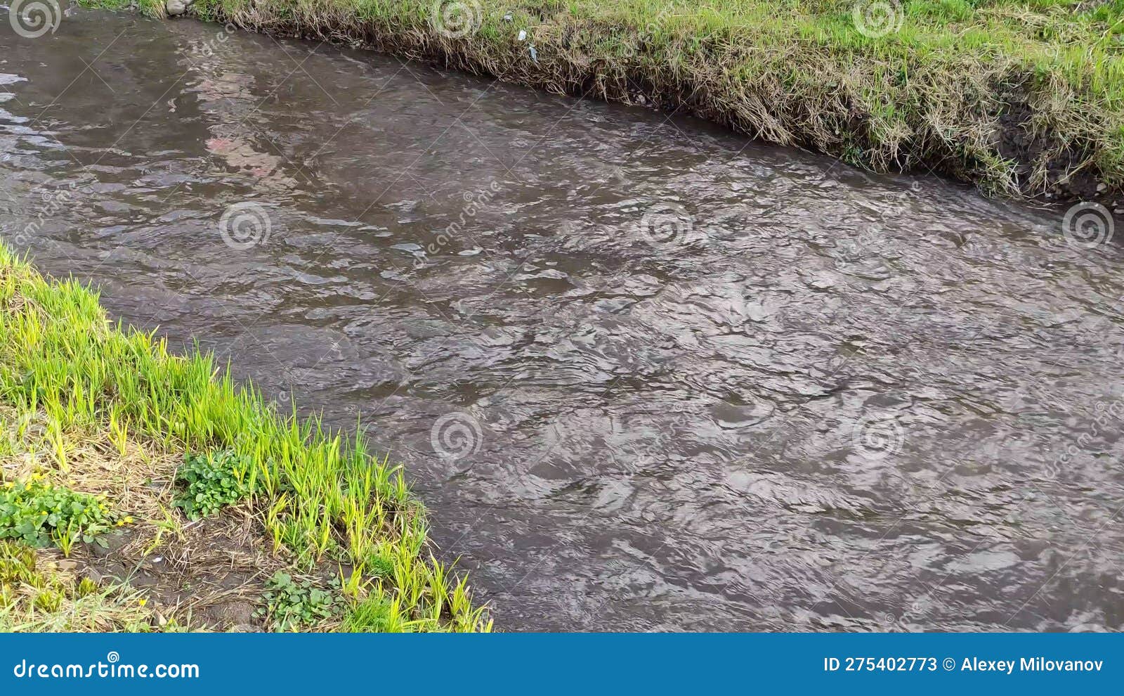 Small Fast River Flows from Left To Right Stock Video - Video of motion ...