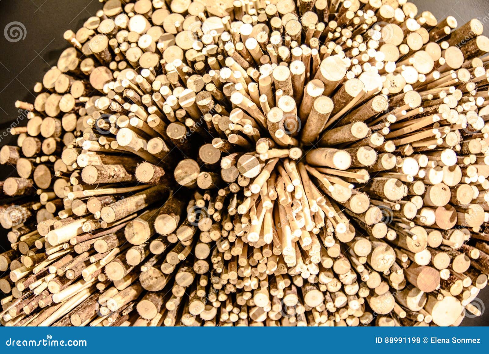 Small Felled Hemp, Branches are Exhibited Near a Different Height for ...