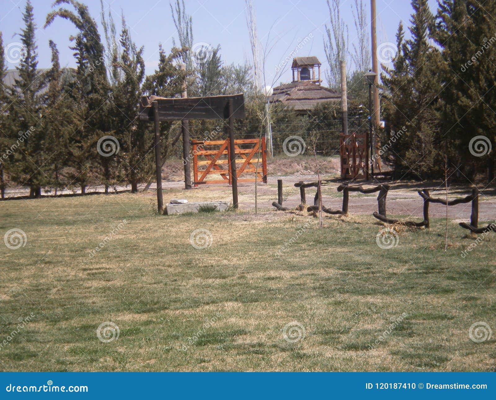 Small field stock photo. Image of tree, plants, country - 120187410