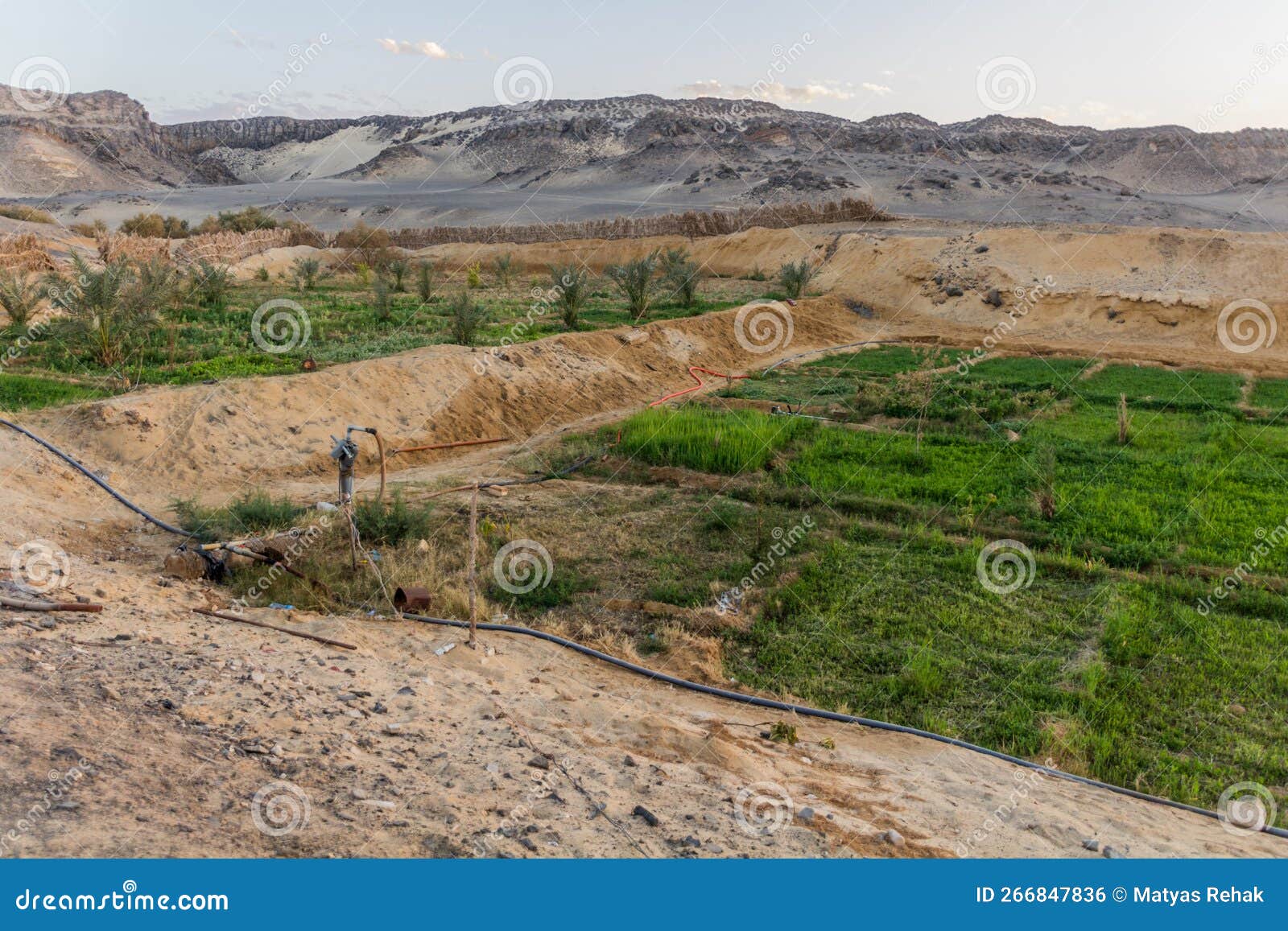 Small Fields in Bahariya Oasis, Egy Stock Photo - Image of scenic ...