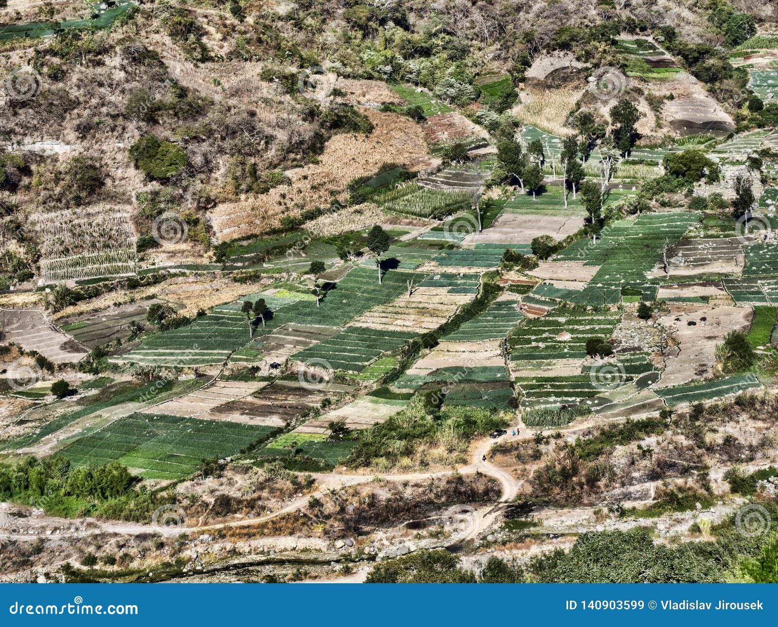 Small Fields of Farmers in Southwest Guatemala Stock Image - Image of ...