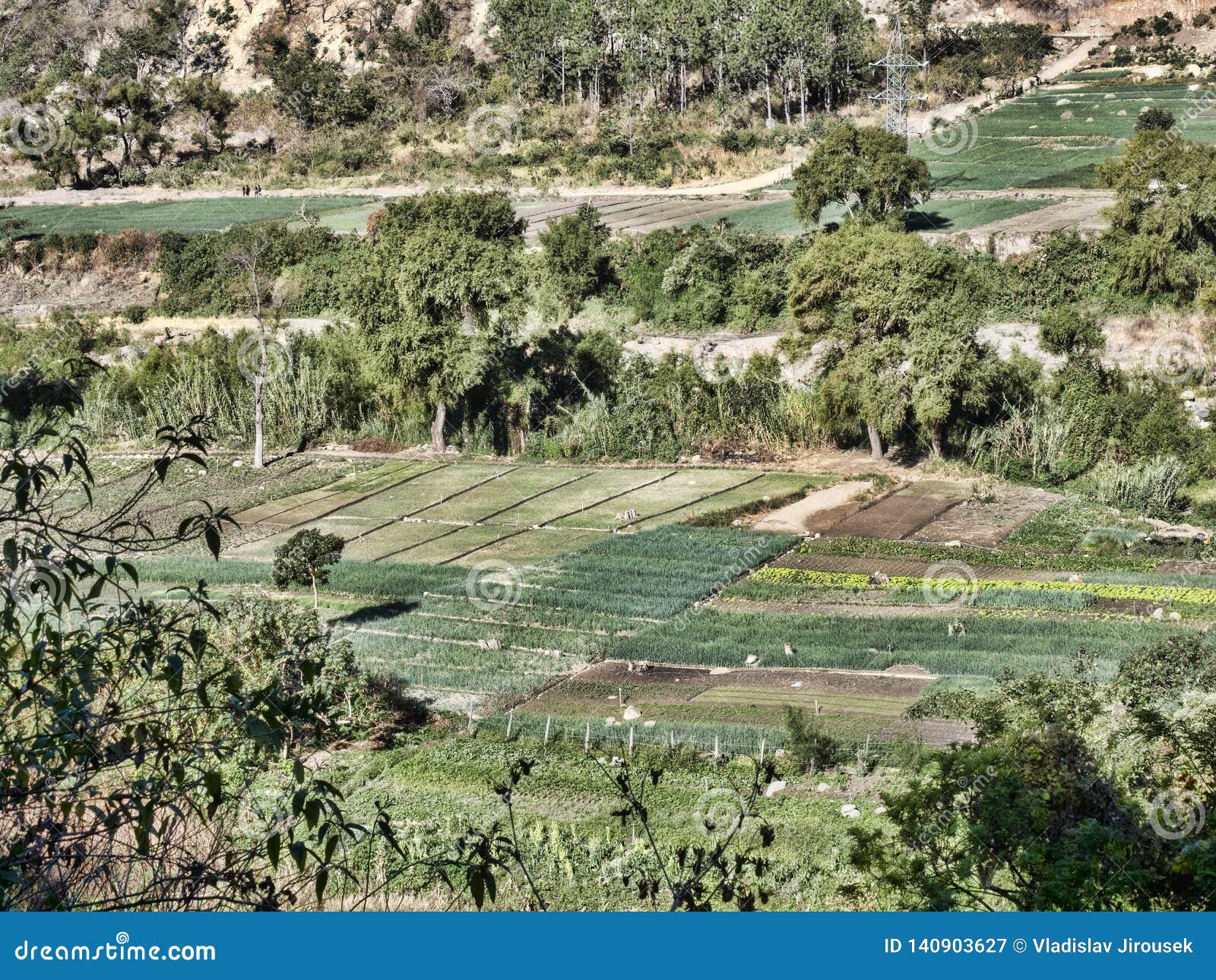Small Fields of Farmers in Southwest Guatemala Stock Image - Image of ...