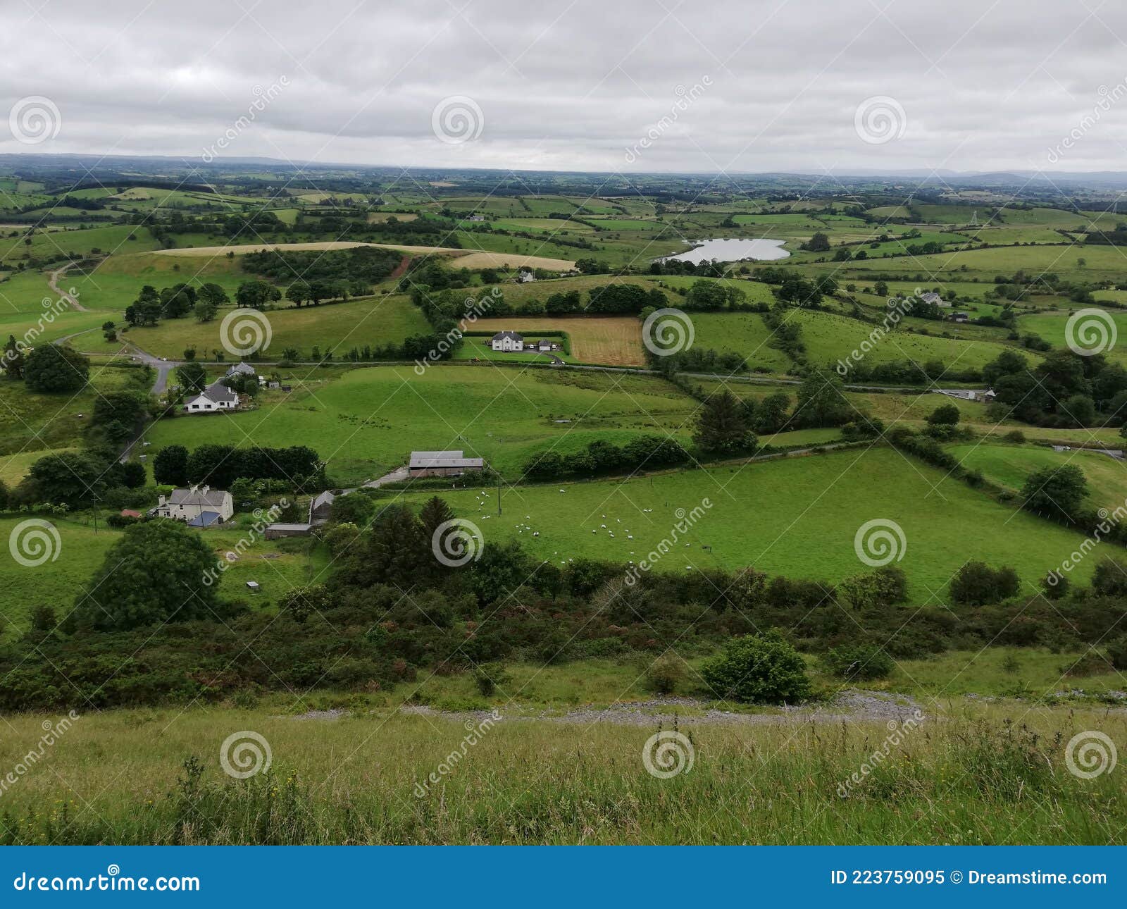 Small Fields Alternate With Ponds, Roads And Boundary Wood Belt Stock ...