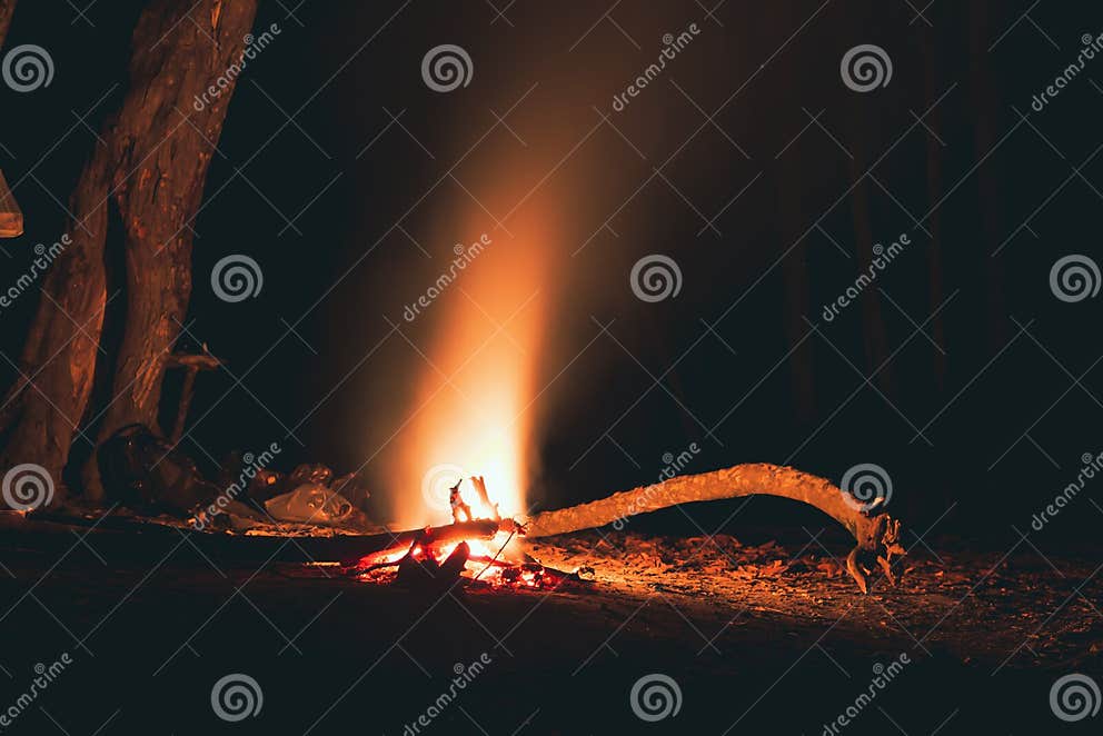 A small fire is burning stock photo. Image of night - 262472642