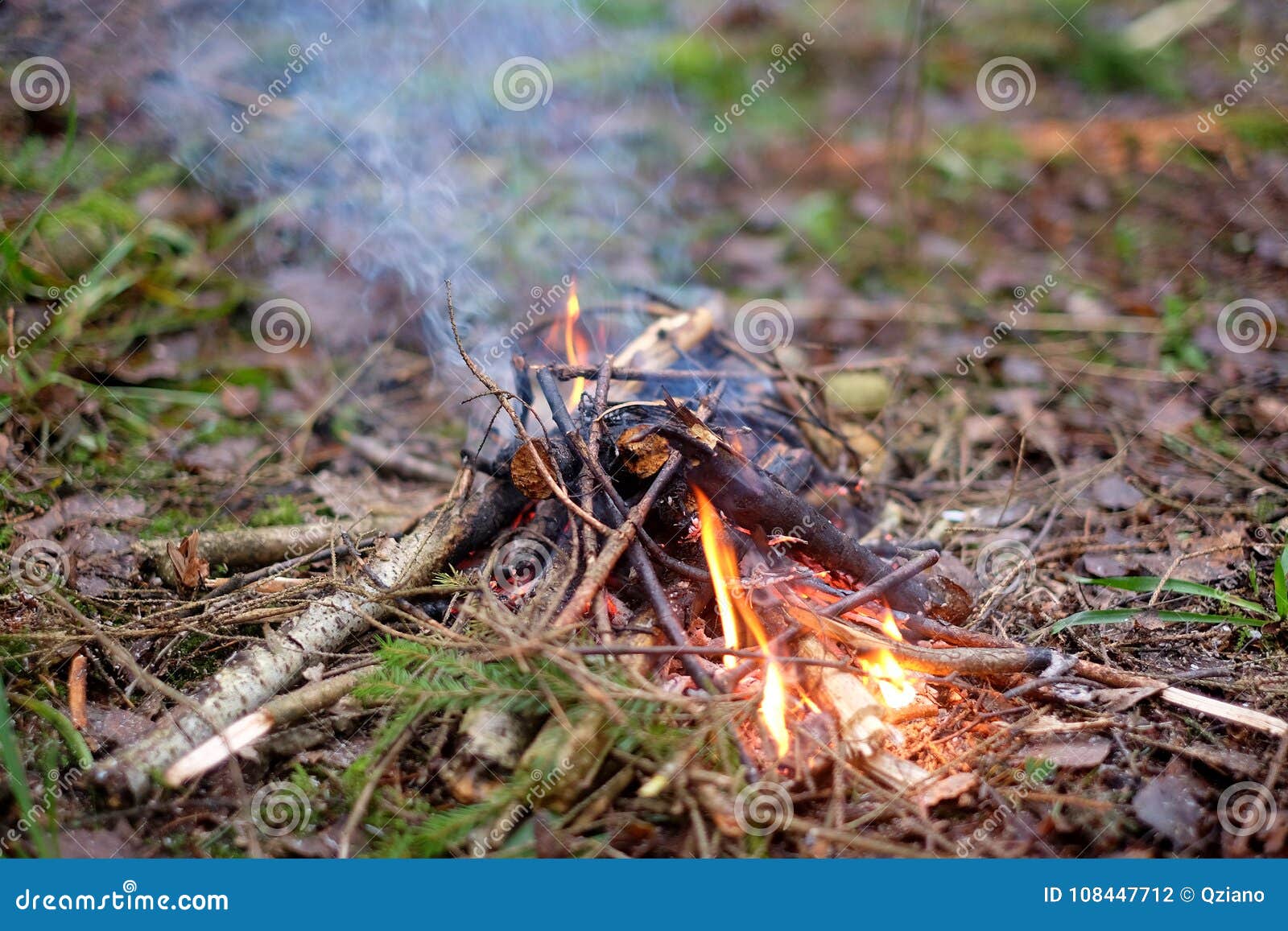A small fire in the forest stock photo. Image of cooking - 108447712