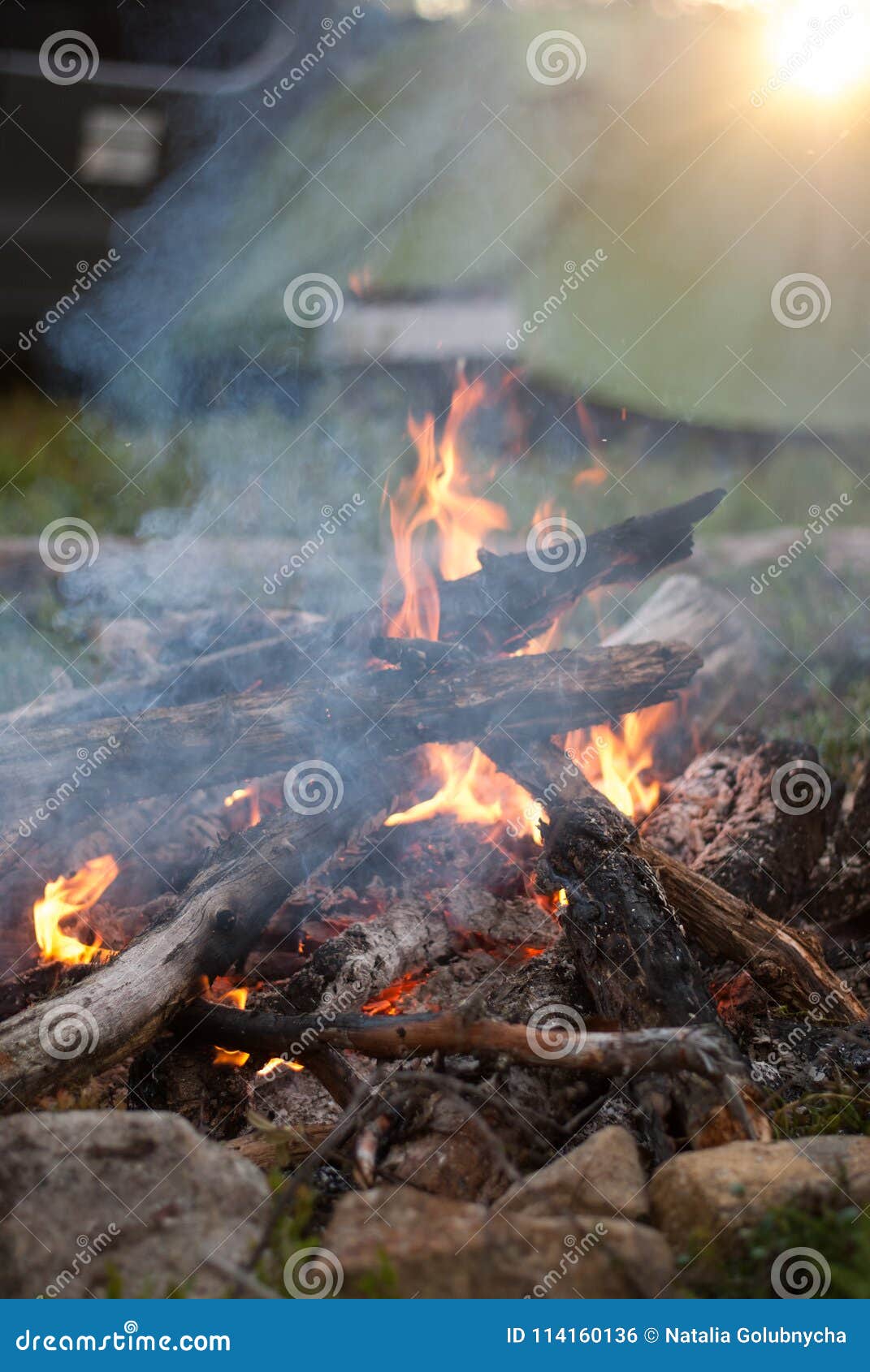 Bonfire in the forest stock photo. Image of smoke, brown - 114160136