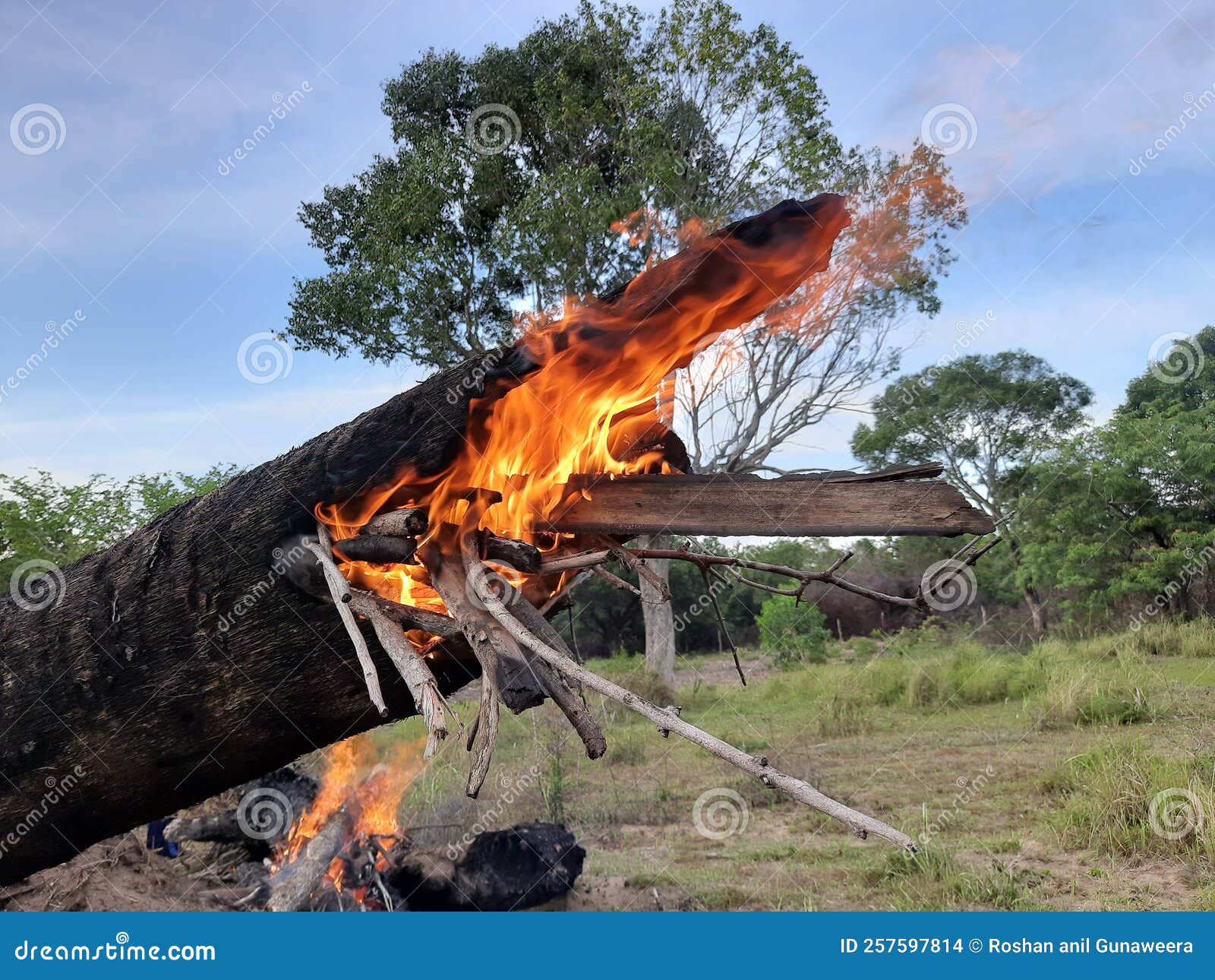 Small Fire in the Jungle Very Heat Stock Photo - Image of fire, small ...