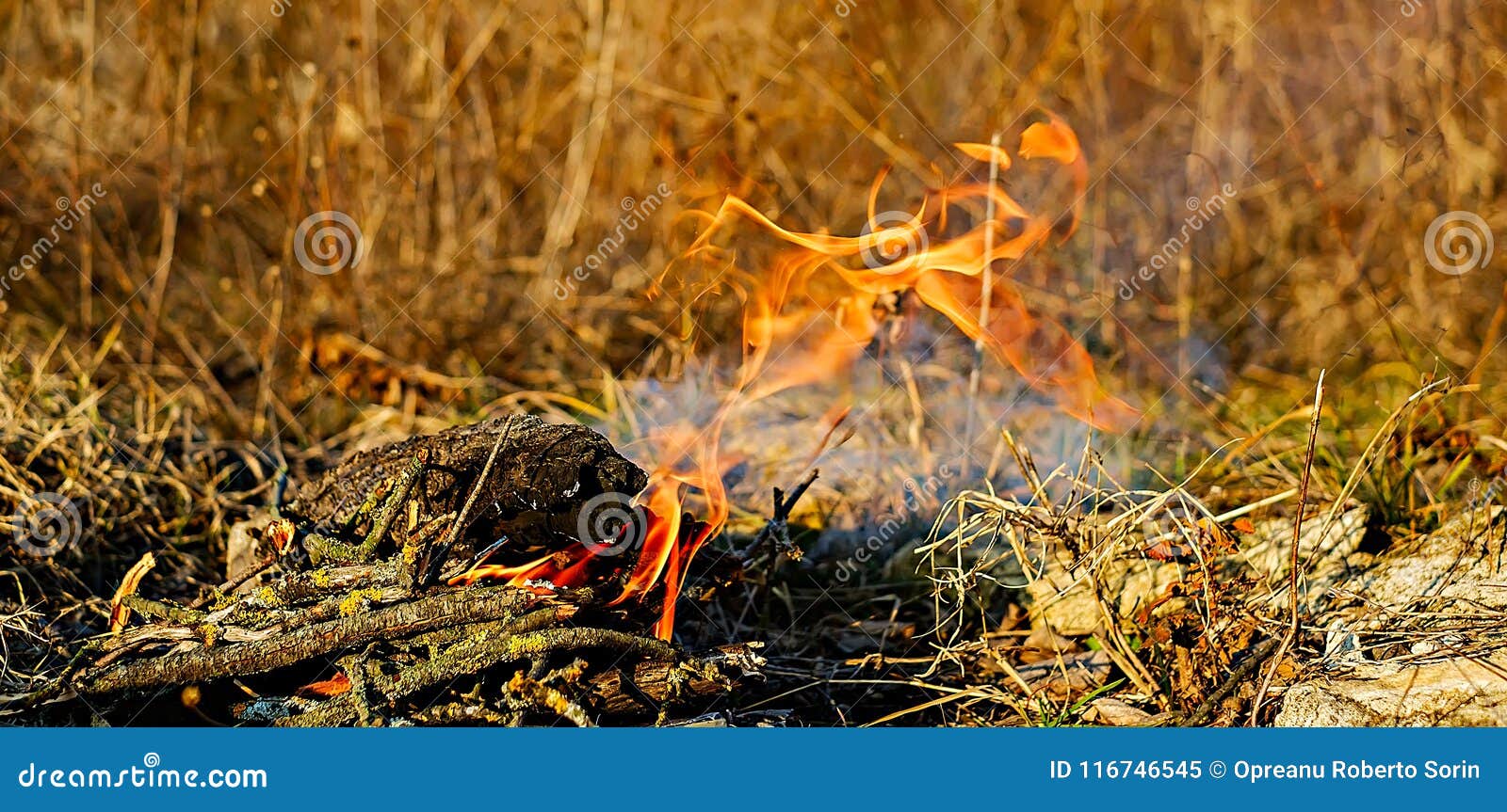 Small fire in nature stock image. Image of band, burning - 116746545