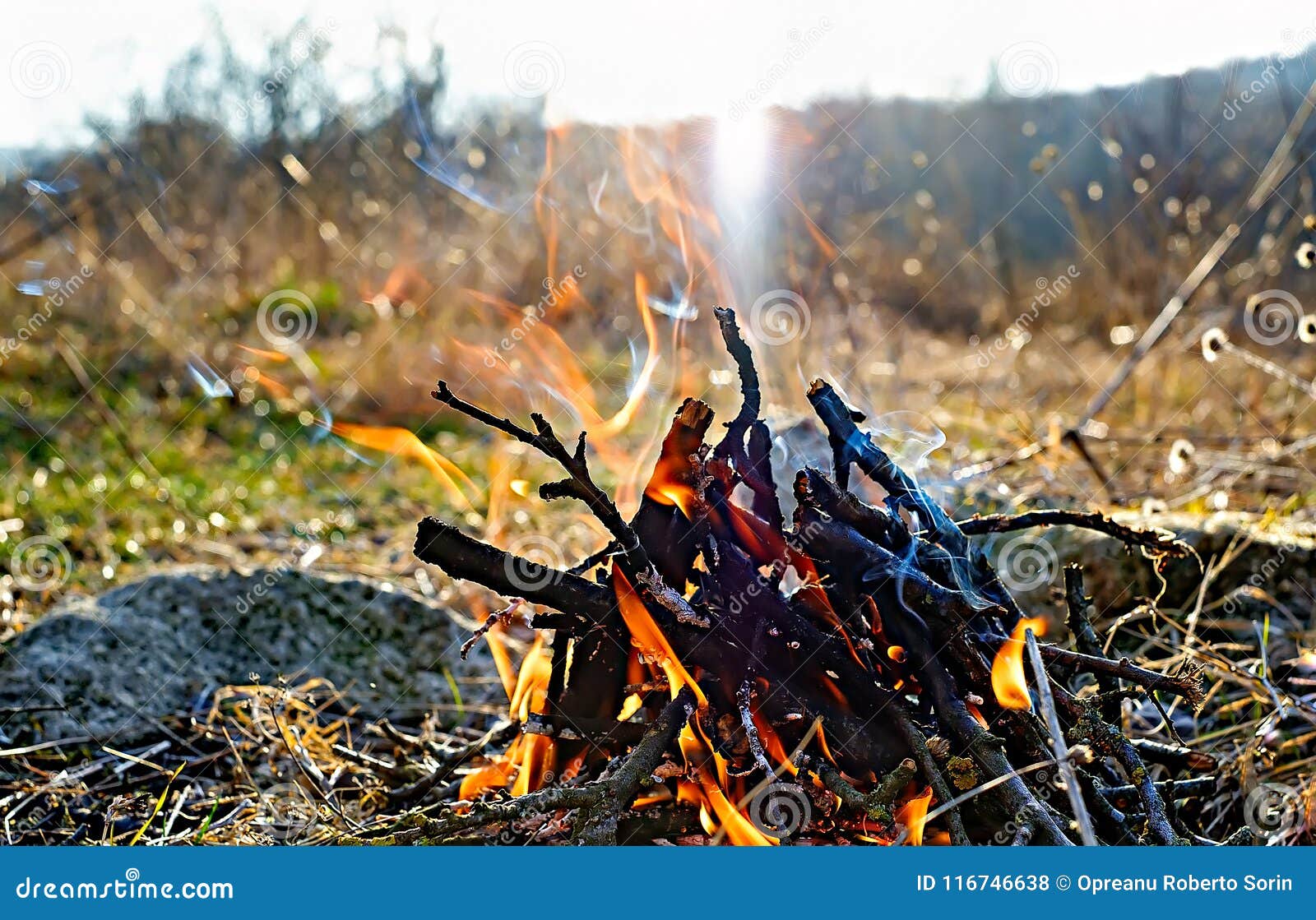 Small fire in nature stock photo. Image of bonfire, nature - 116746638