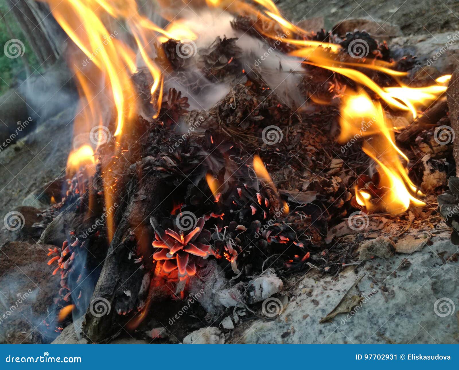 Small fire stock image. Image of nature, woods, summer - 97702931
