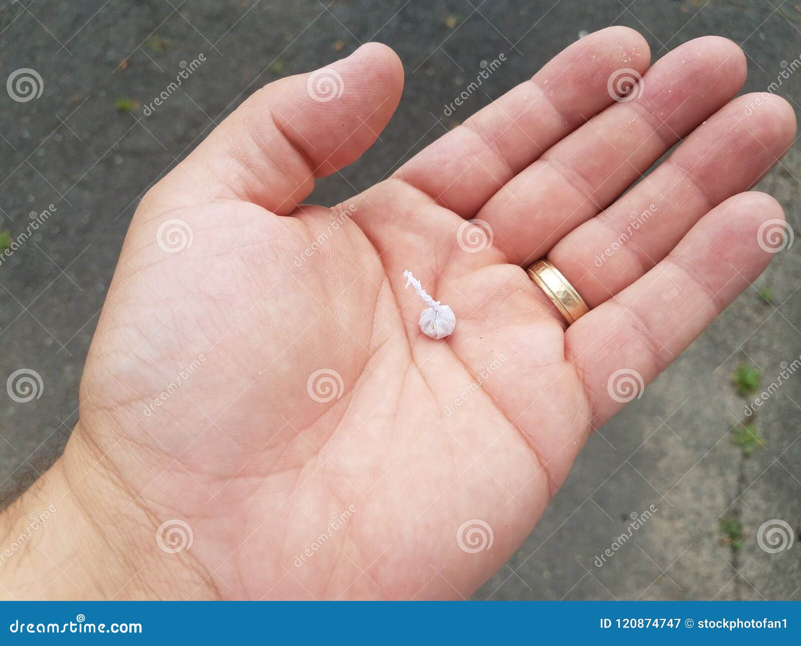 Small Firecracker in Palm of Hand with Gold Ring Stock Image - Image of ...