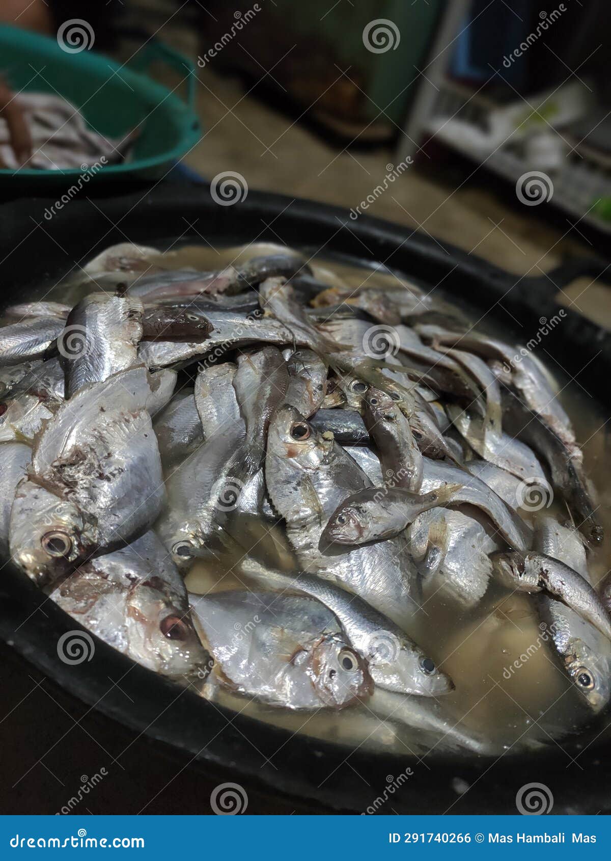 Small fish in the bucket stock photo. Image of food - 291740266