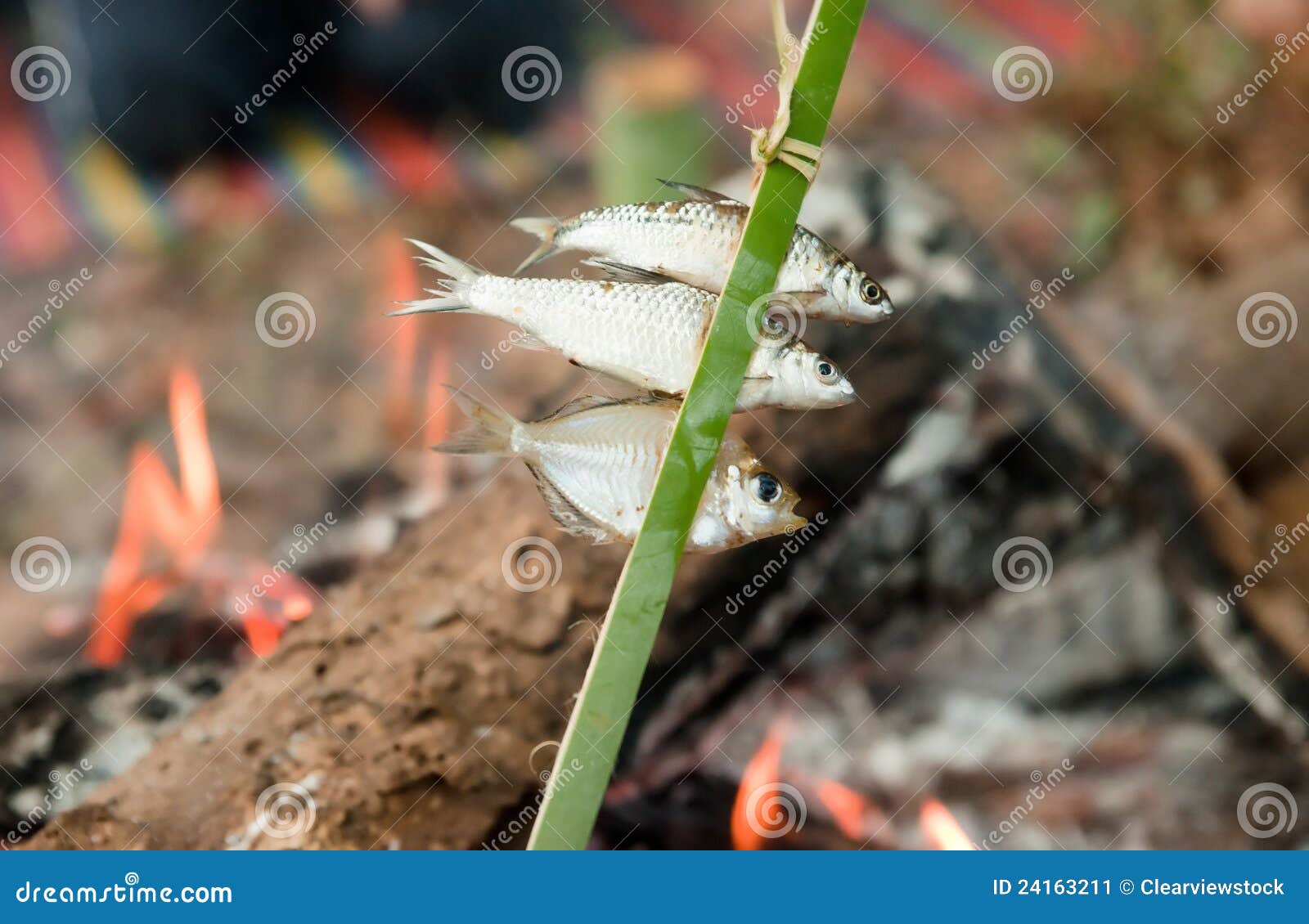 Small Fish Cooking Over Fire Stock Image - Image of cooking, seafood ...