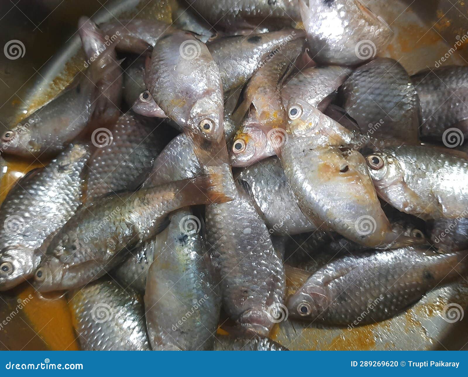 Small Fish Look so Fresh and Good for Health... Stock Photo - Image of ...