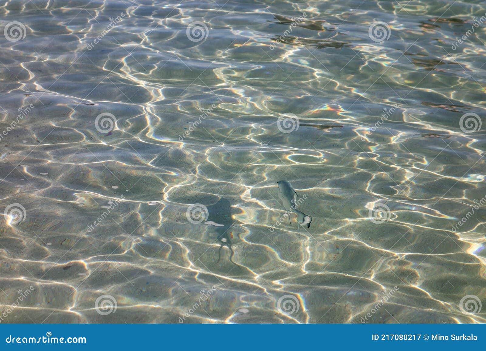 Ocean Wave Diffraction