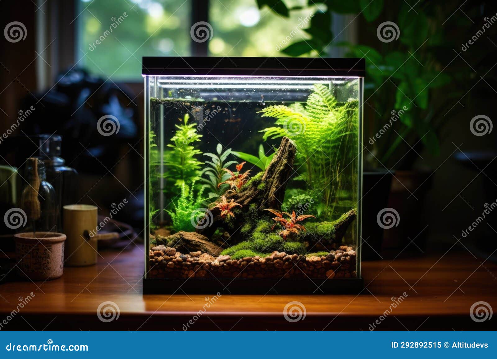 A Small Fish Tank Turned into a Terrarium Stock Image - Image of decor ...
