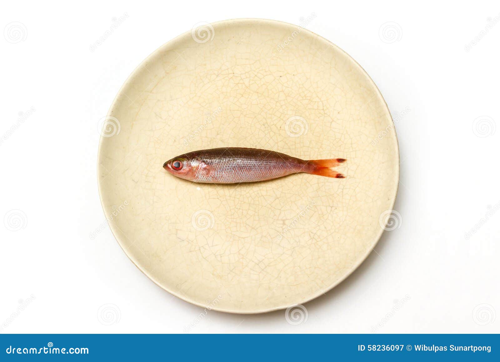 A Small Fish on White Plate Stock Image - Image of delicious, preserved ...