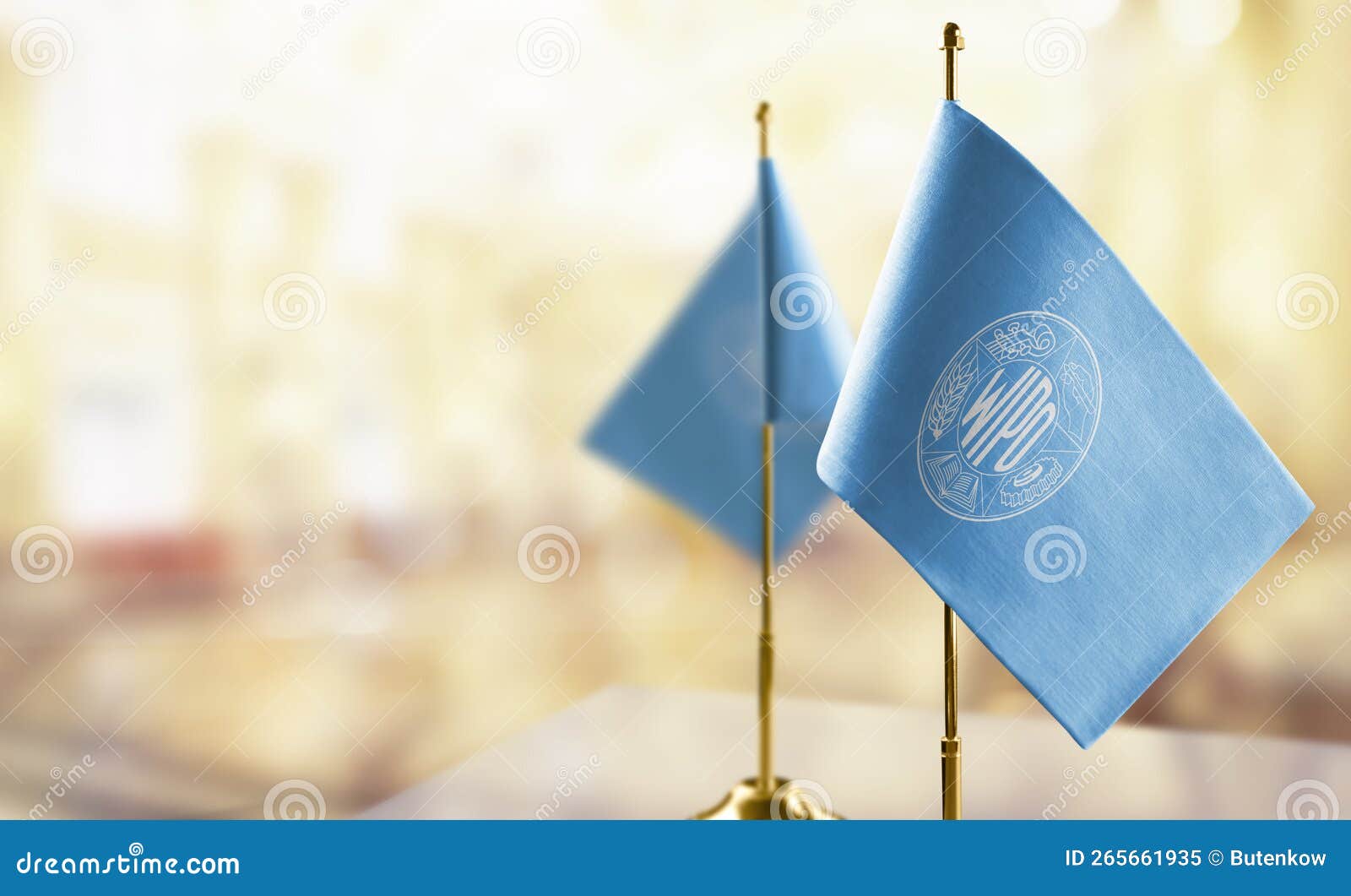 Small Flags of the International Intellectual Property Organization on ...