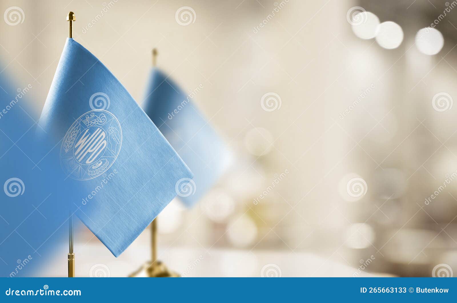 Small Flags of the International Intellectual Property Organization on ...