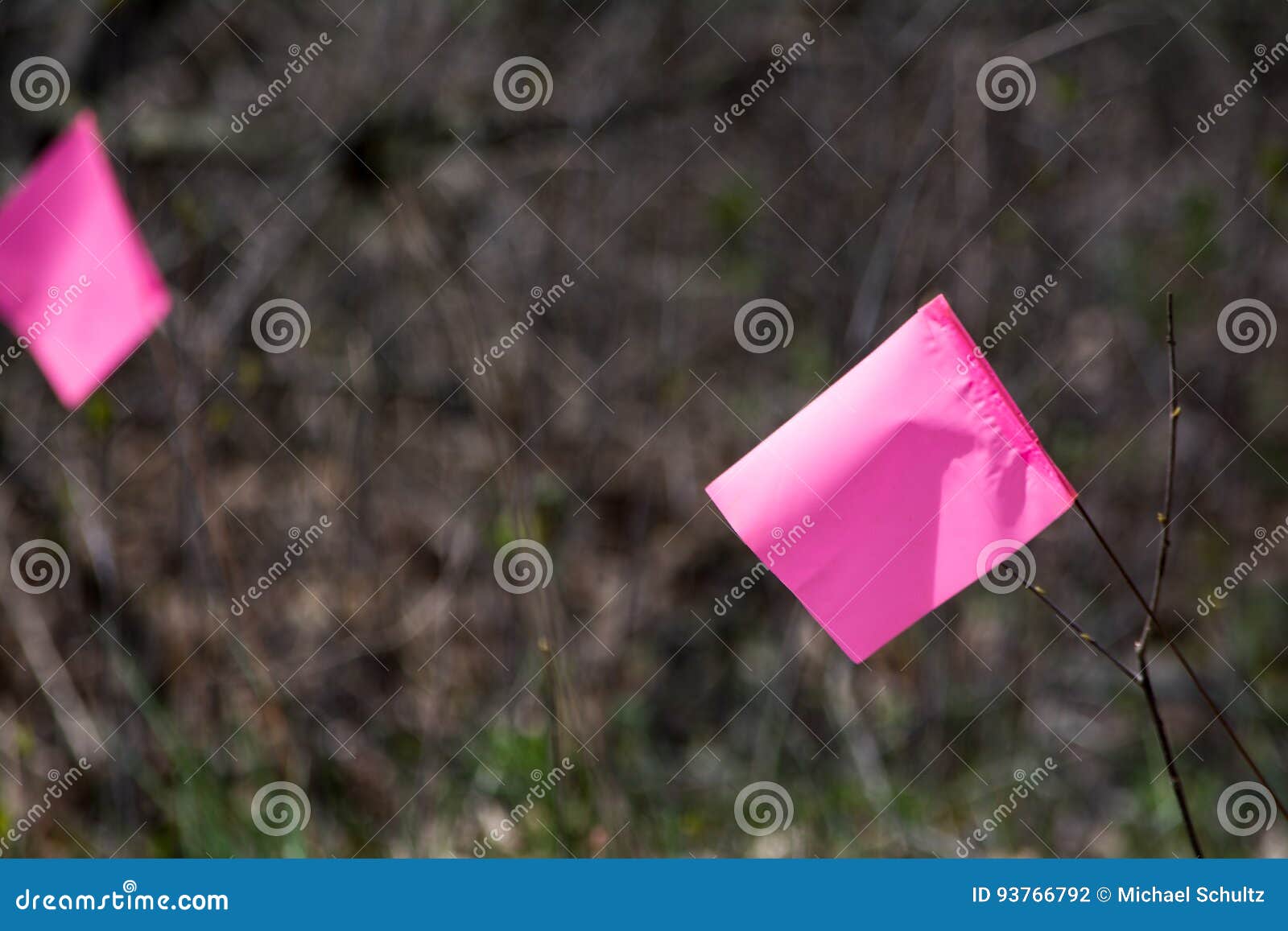 Small flags stock photo. Image of attention, risk, safety - 93766792