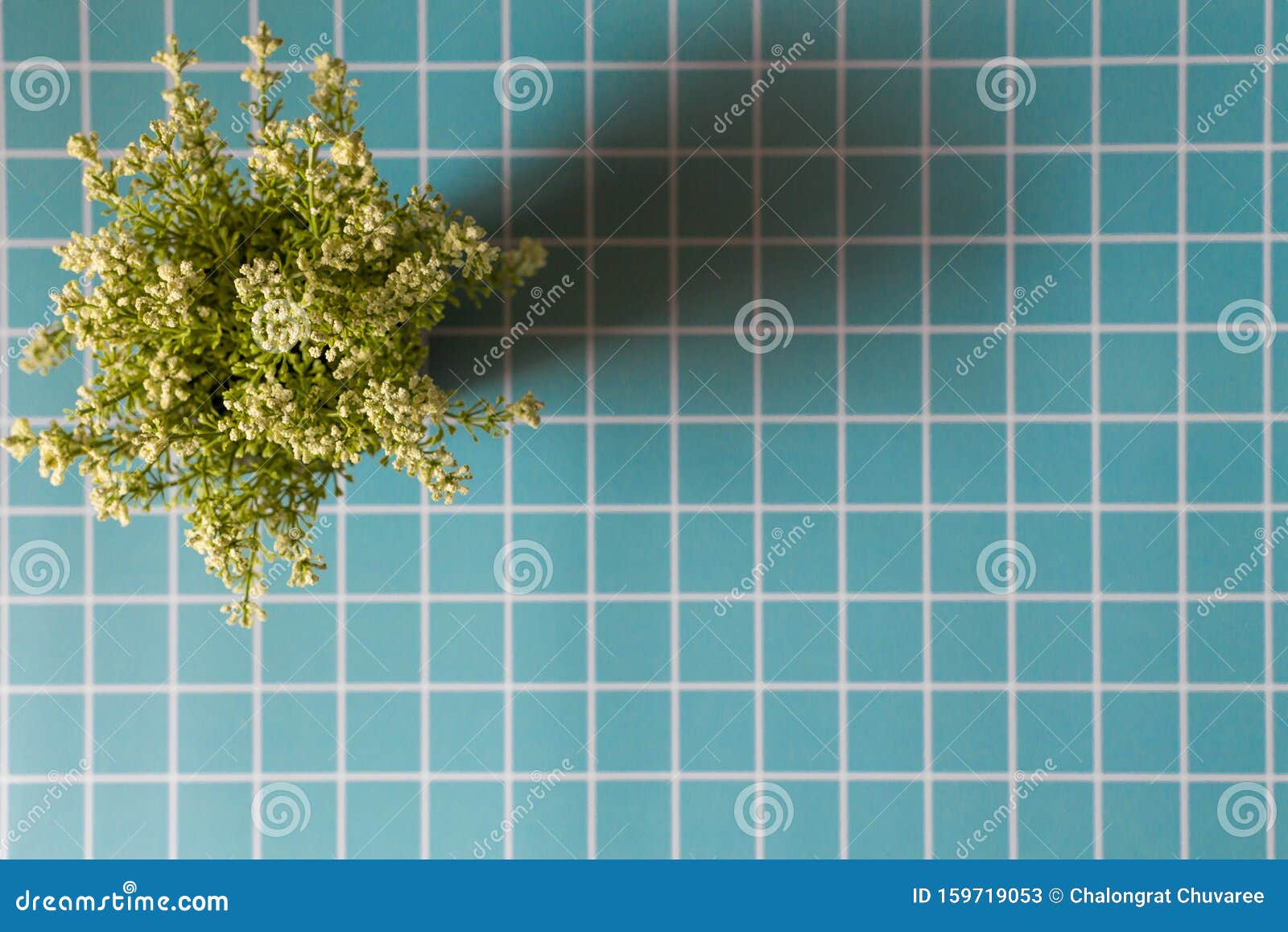Small Flower Pot on Blue Grid Pattern Texture Background and Copy Space ...