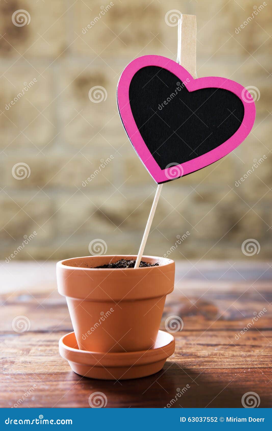 Small Flower Pot with a Pink Heart and Copy Space Stock Photo - Image ...