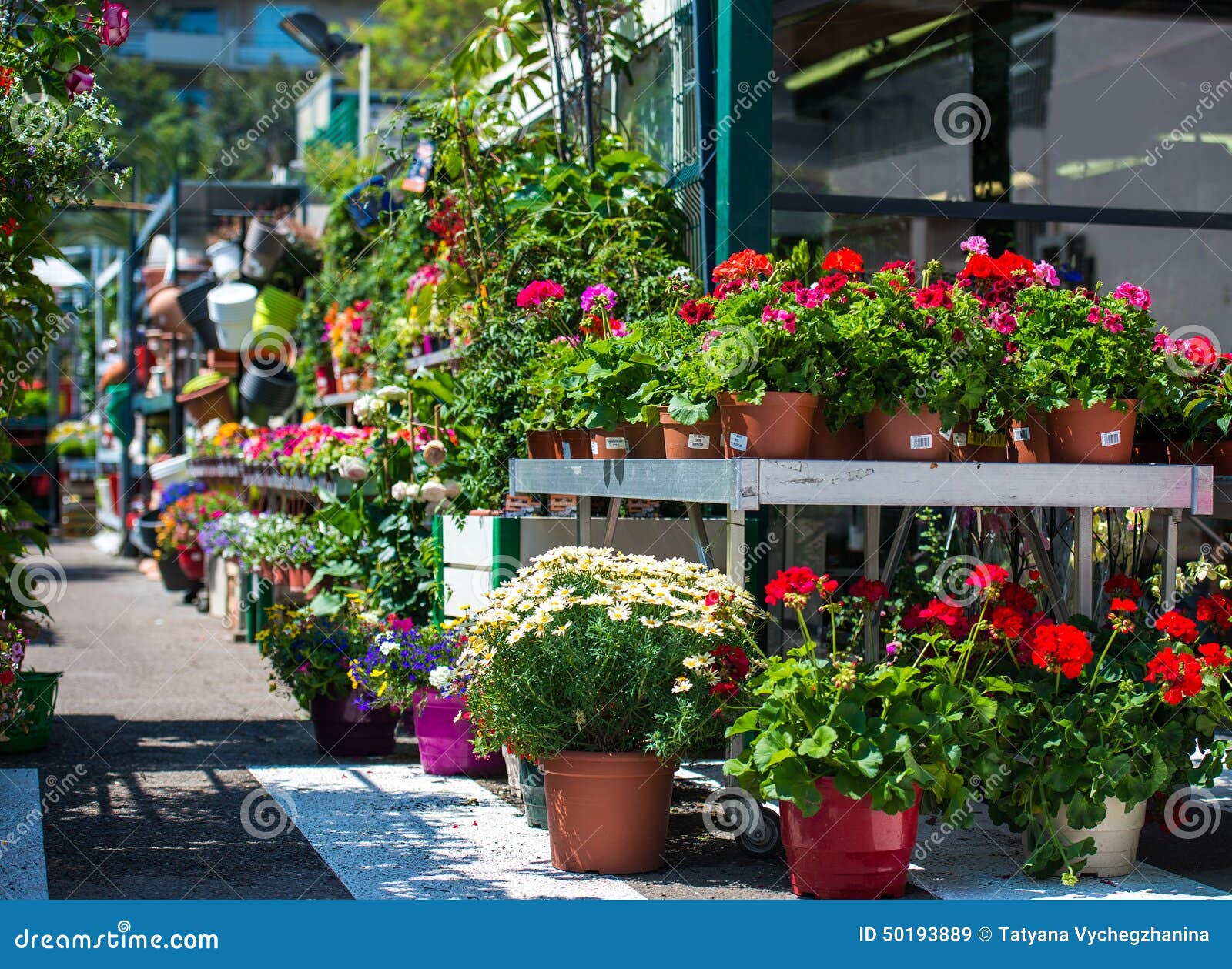Small flower shop stock image. Image of small, city, beauty - 50193889