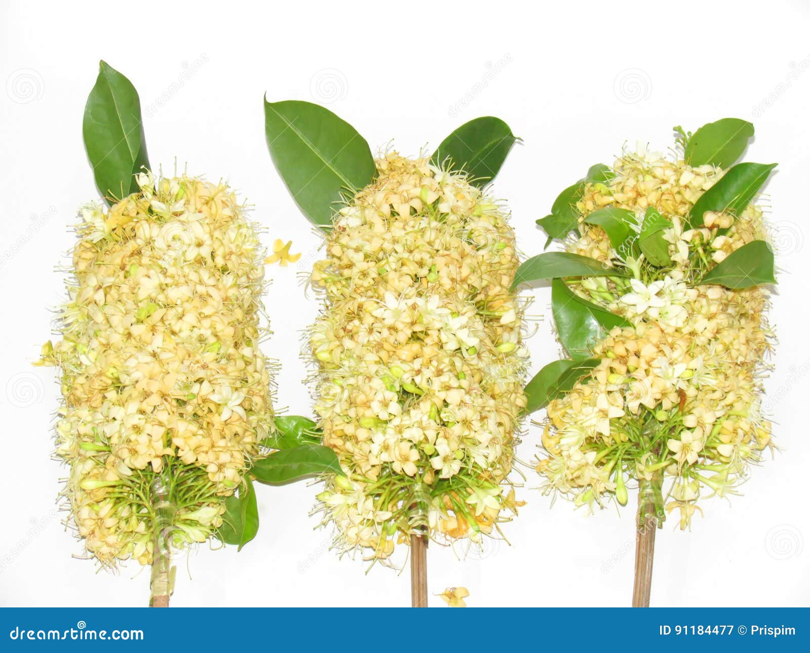 Small Flowers Bring Together Decorative Bundle on a Stick is a Large ...